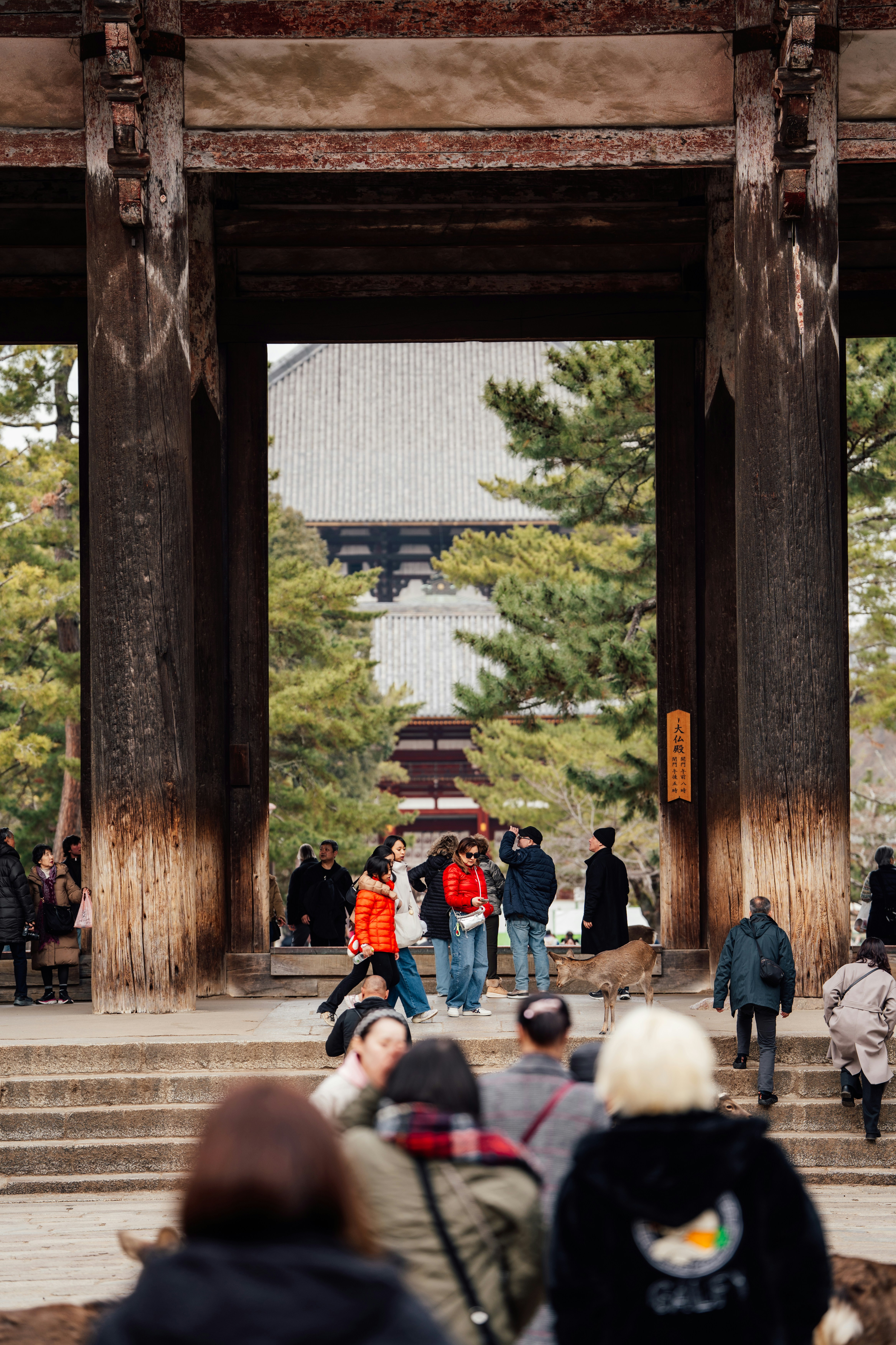 Gateframe of Gathering: Visitors Under a Grand Torii