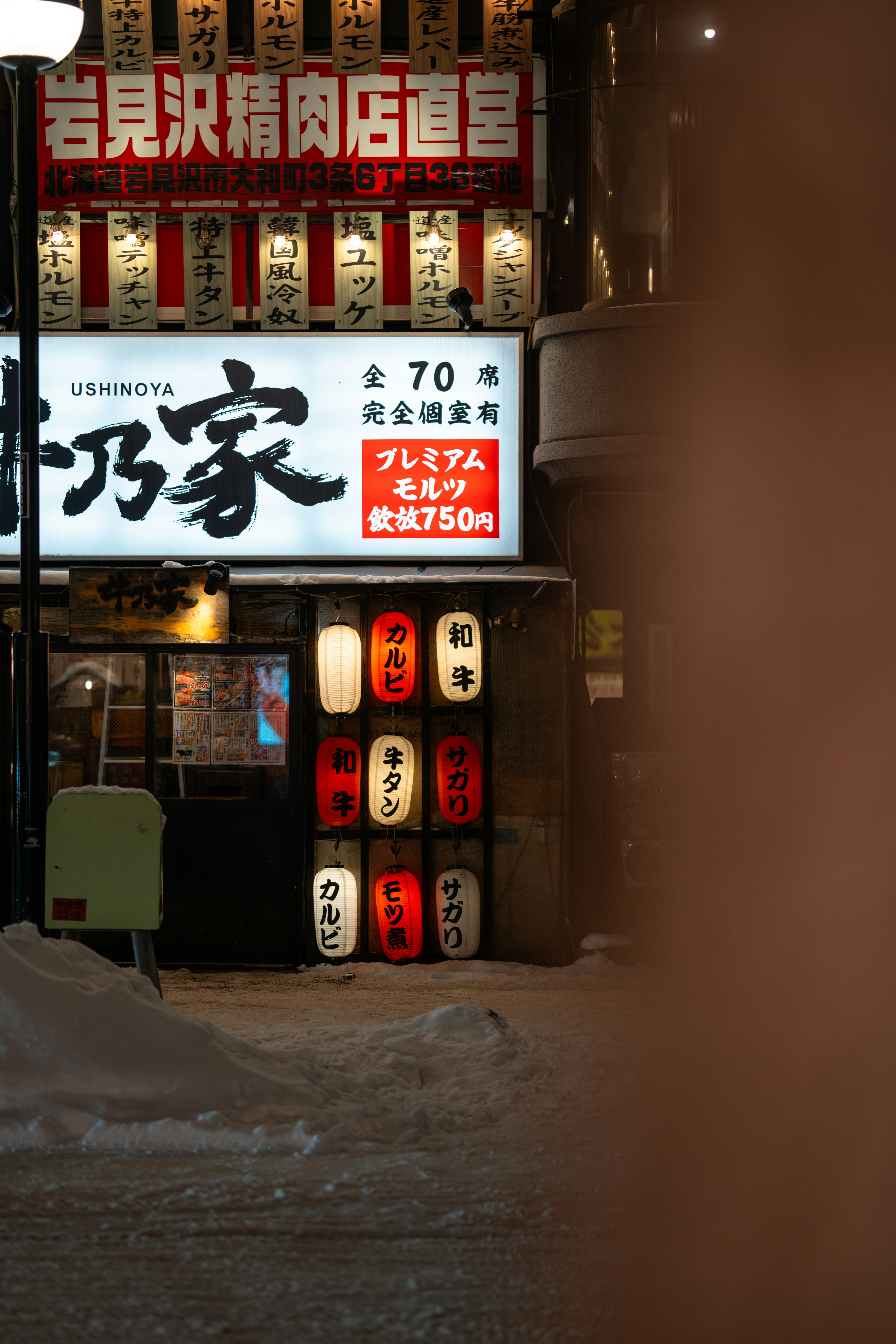 Neon Lanterns and Snow: Nightlife in a Quiet Japanese Alley
