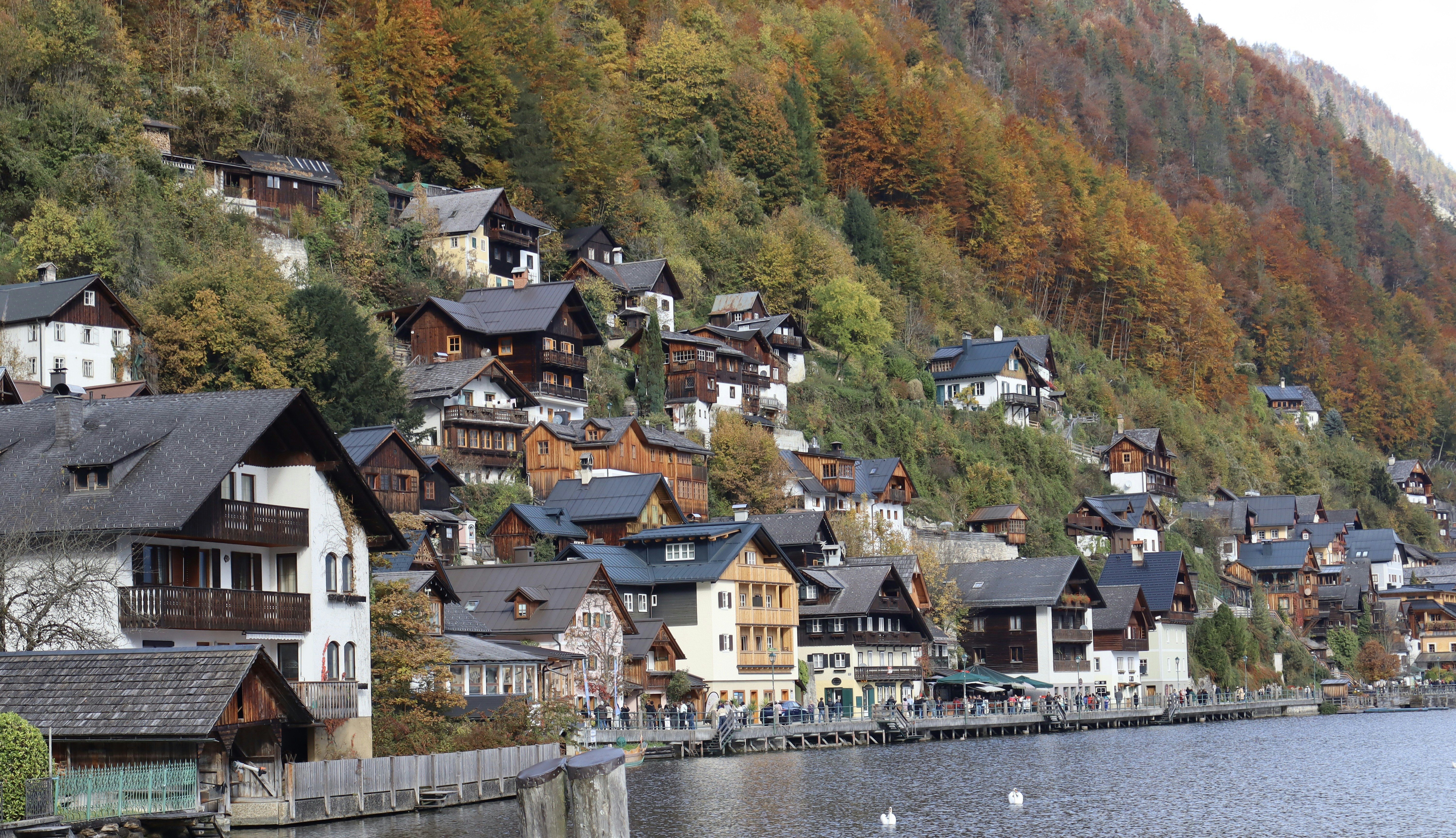 Houses nestled on a hillside with autumn foliage