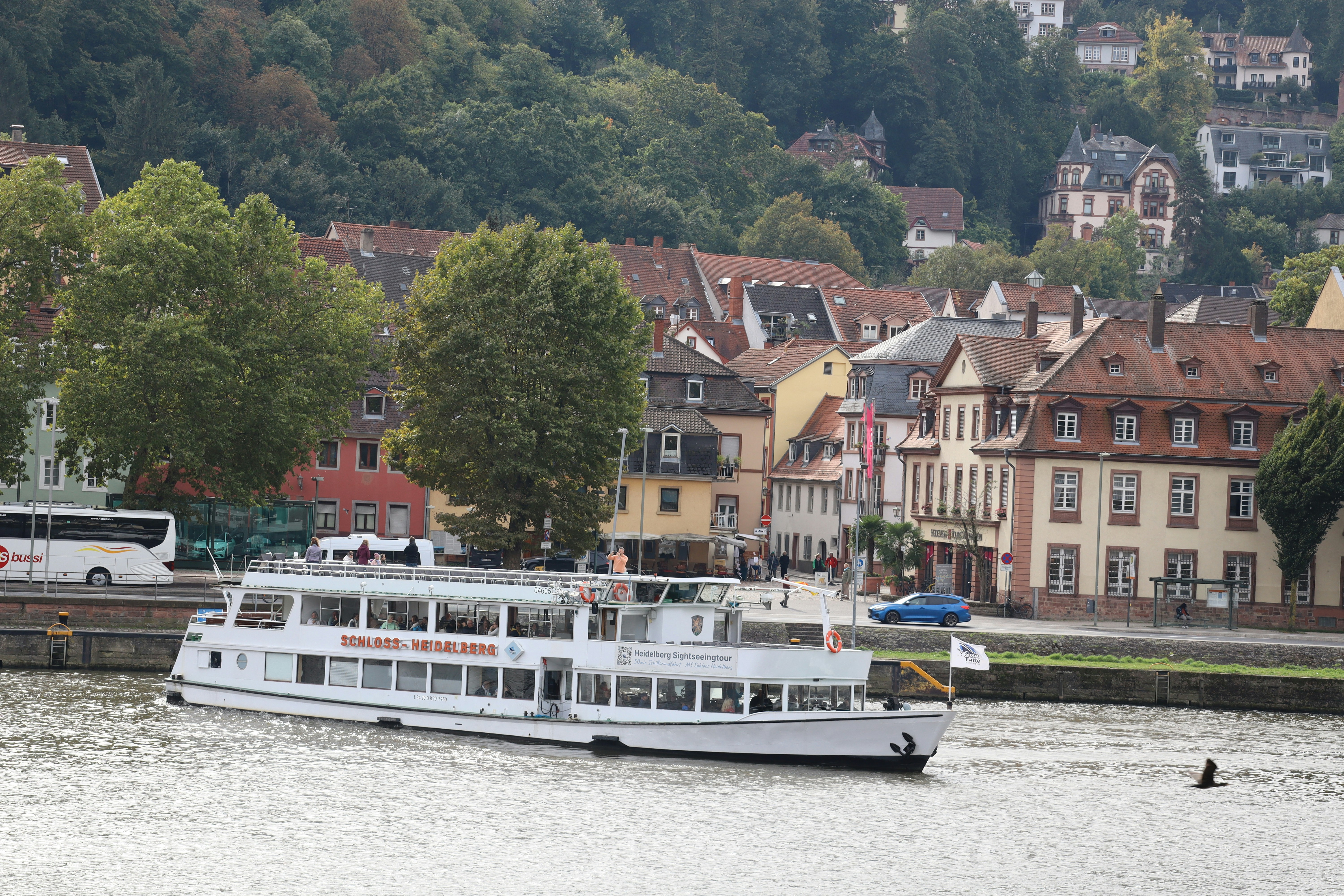 River Embraced by Colorful Riverside Homes and a Sedate Boat