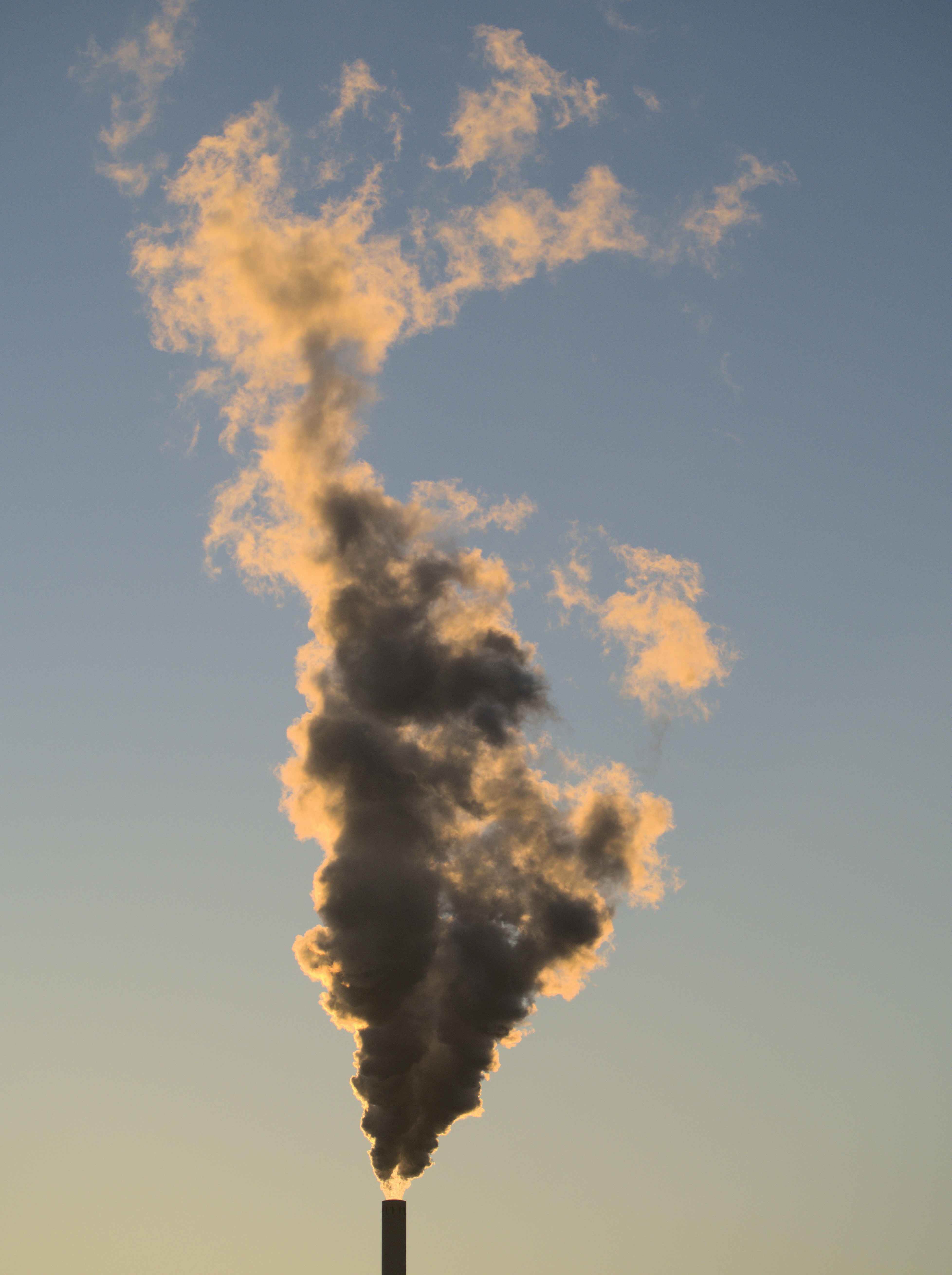 Rising plume: Smokestack against a pastel sky