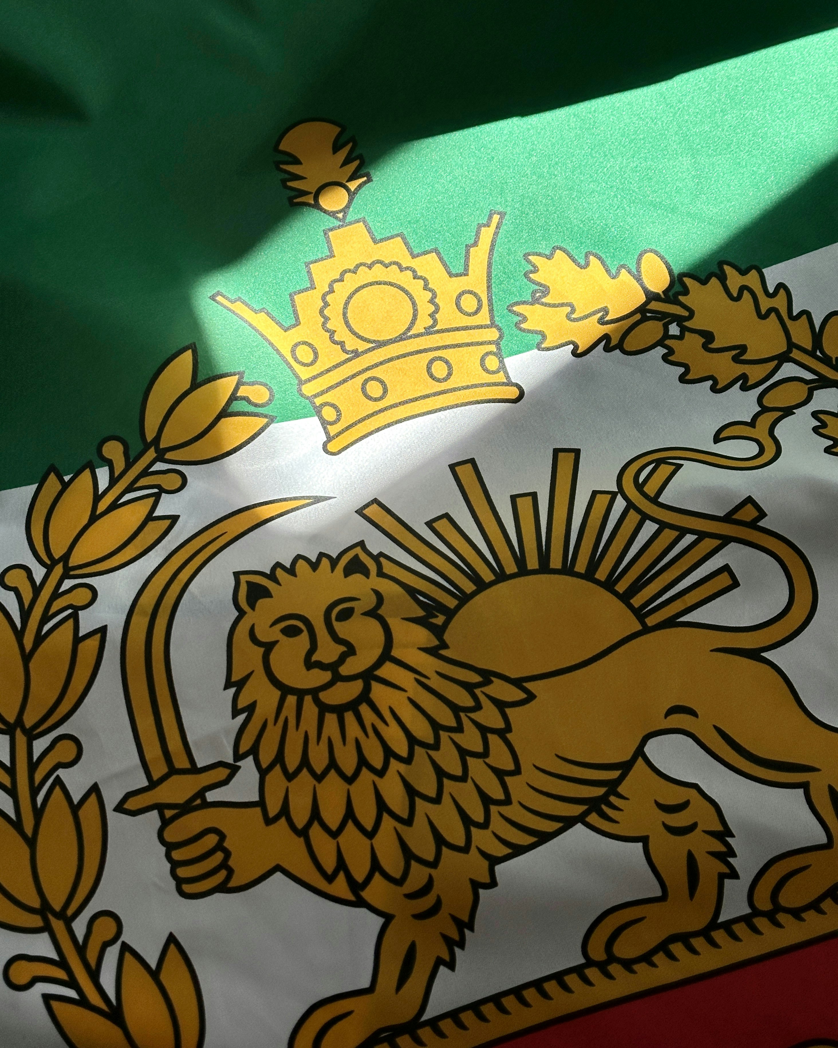 Heraldic Lion on a Bright Banner