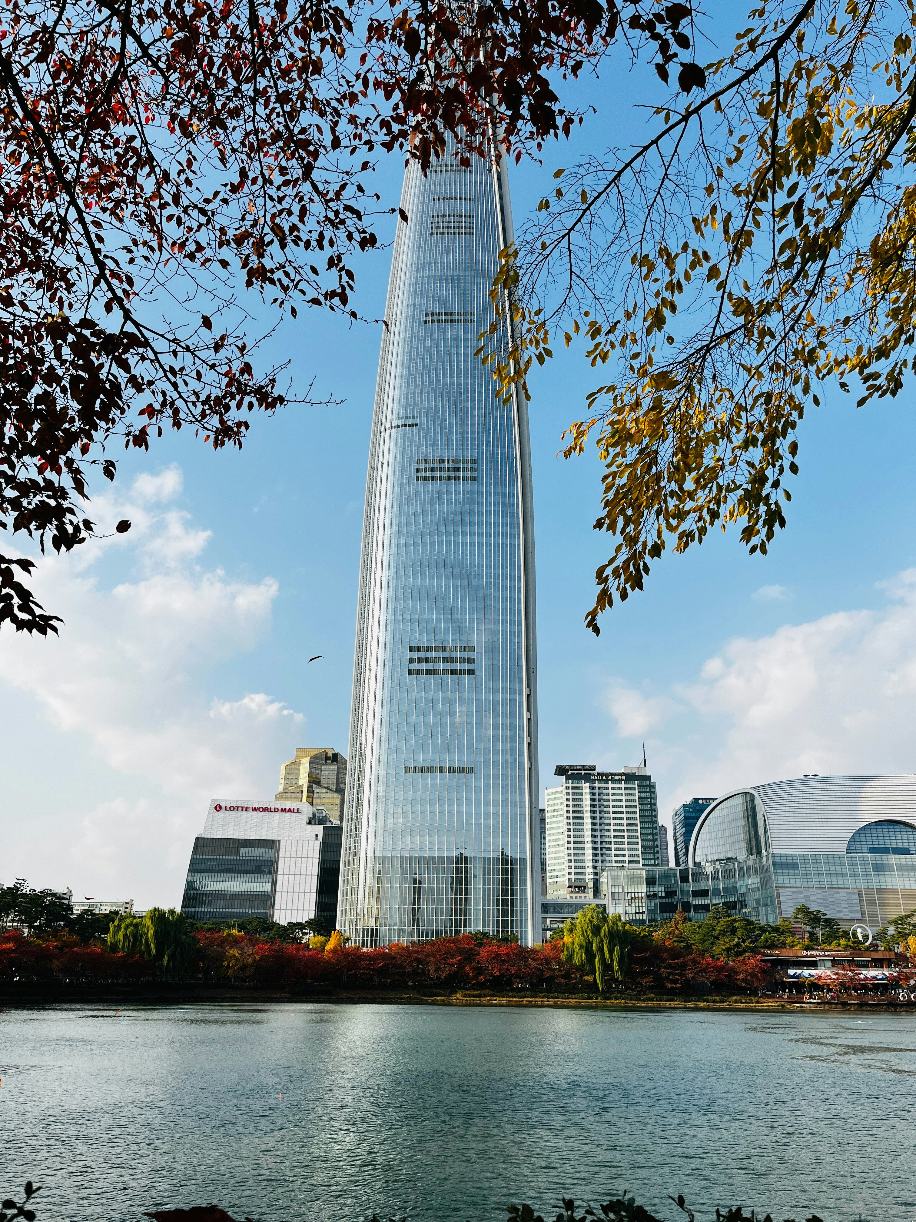 Skyward Needle: A Glimmering Tower Framed by Autumn Canopy