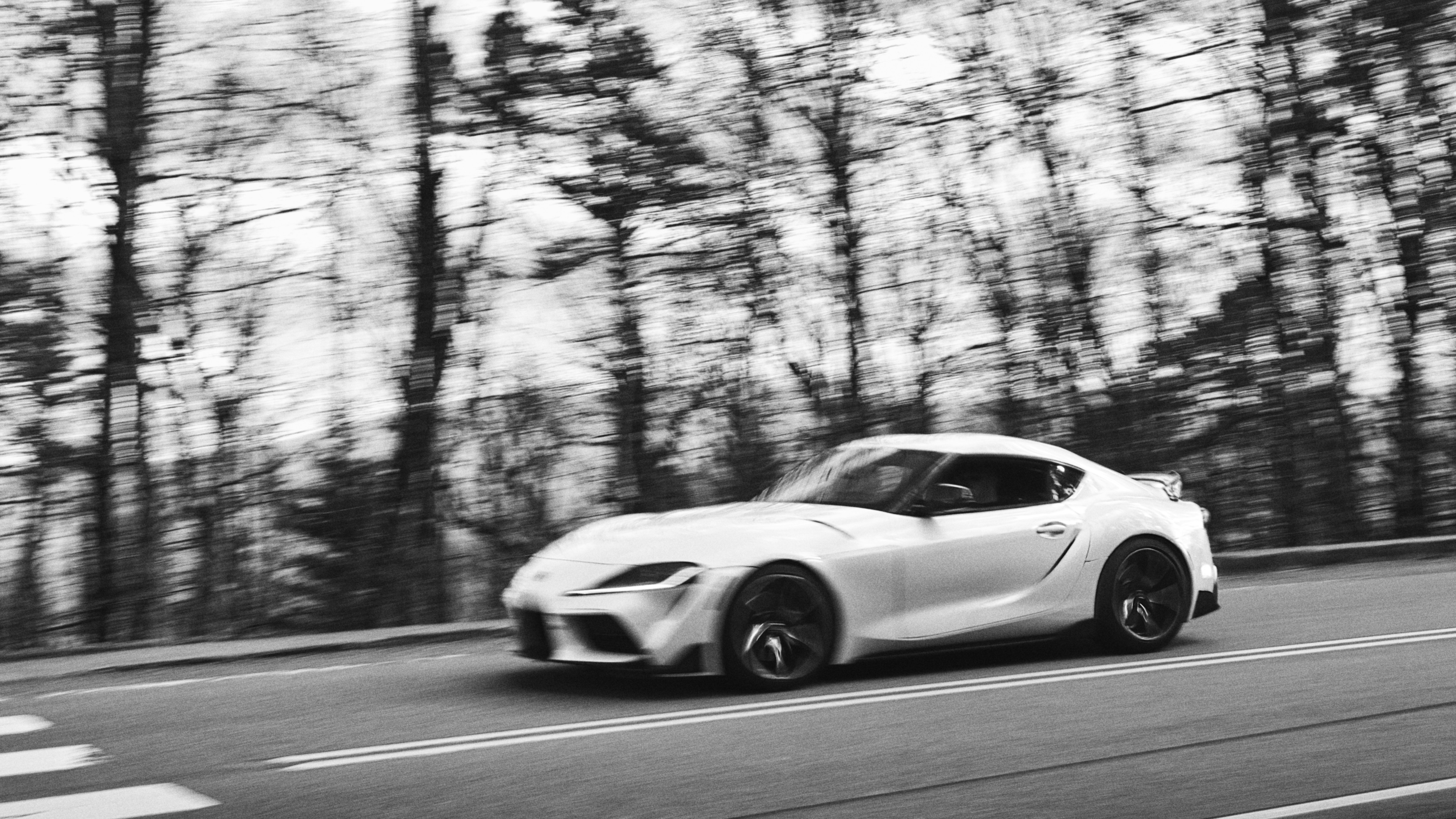 Sleek white coupe in motion along a tranquil woodland road