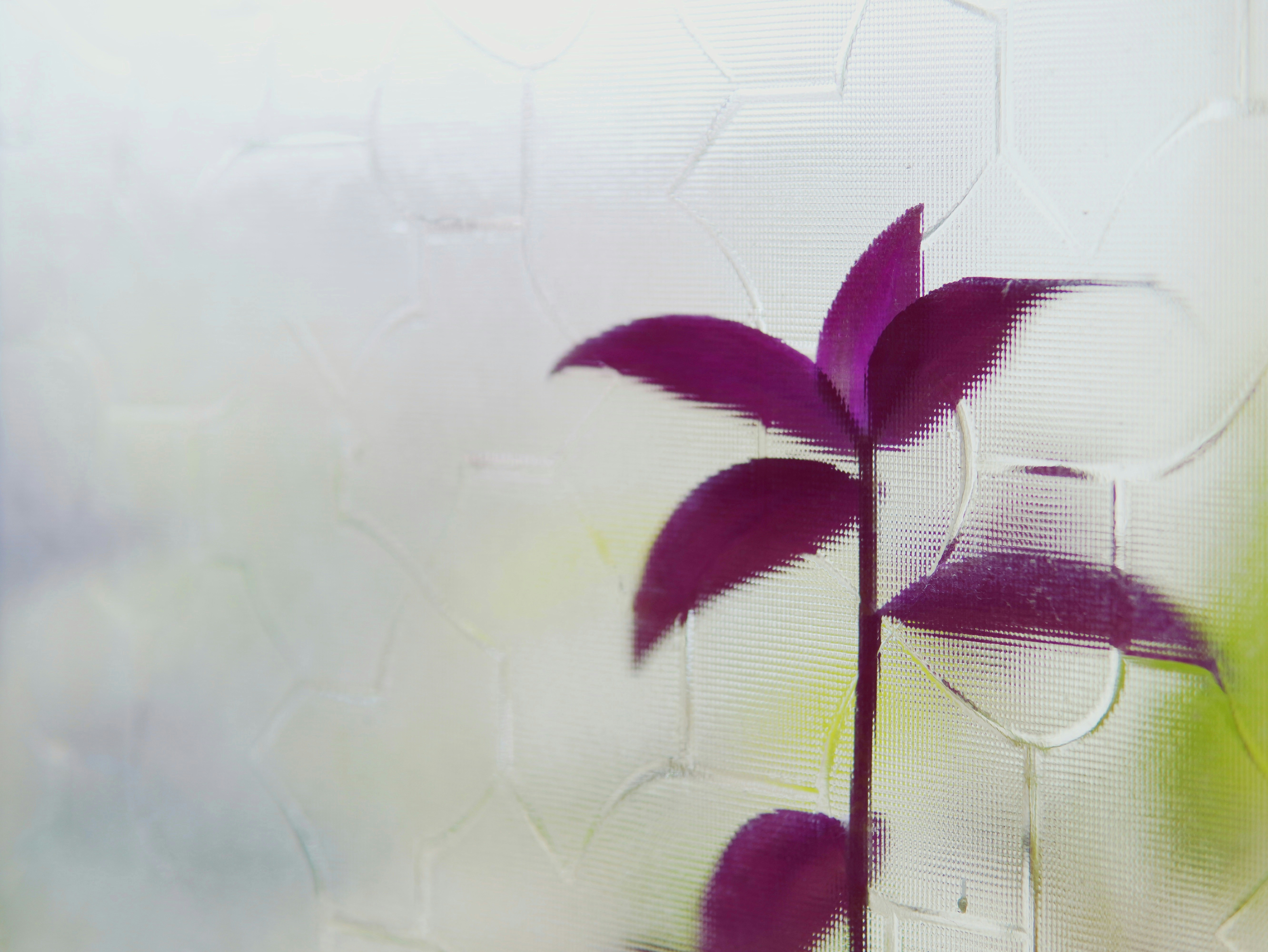 Vibrant Purple Seedling Against Frosted Glass