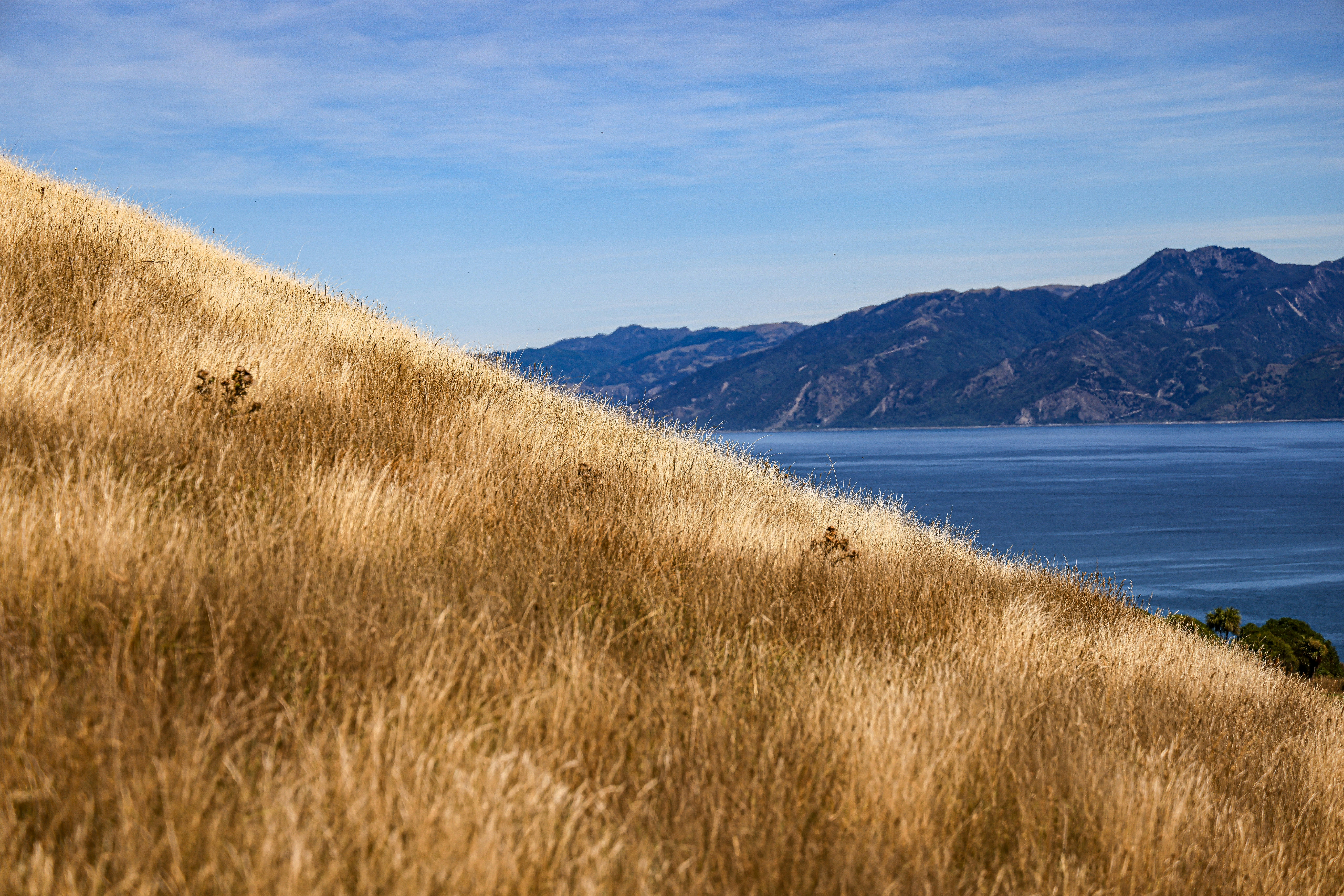 Golden Hill Crest and Quiet Sea Horizon