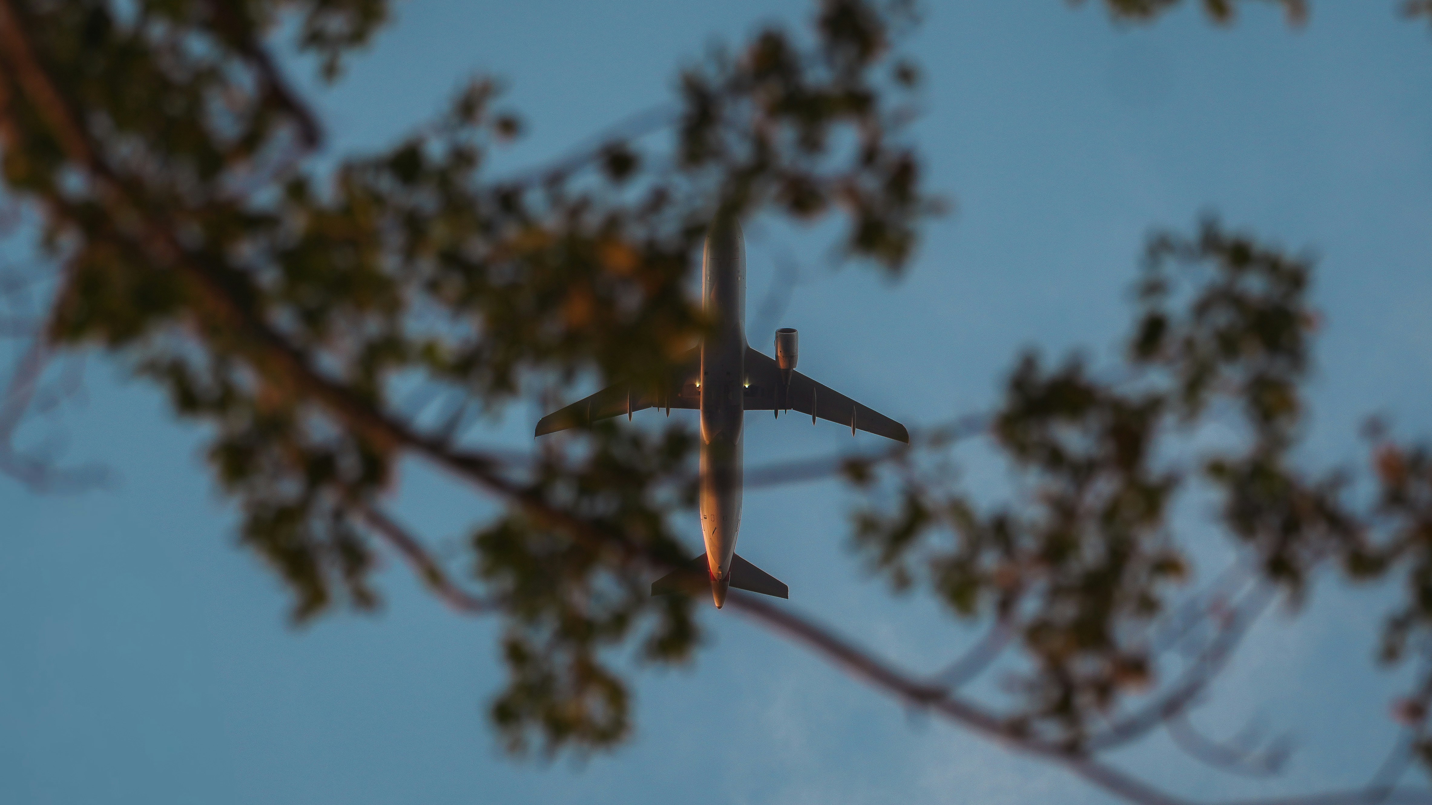 Silhouette of a Jet Backlit by Sky