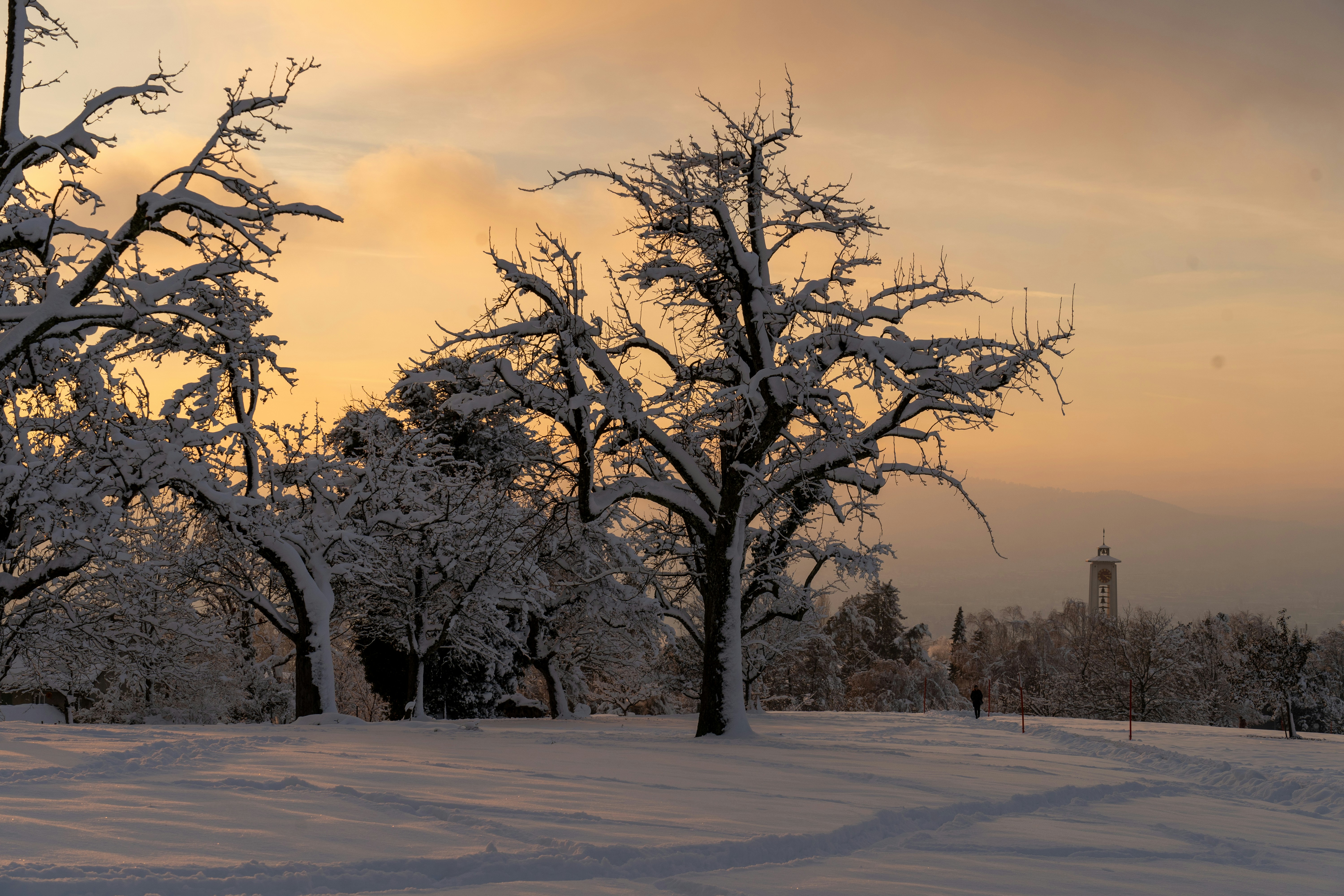 Winter Silence Beneath Distant Bell Tower