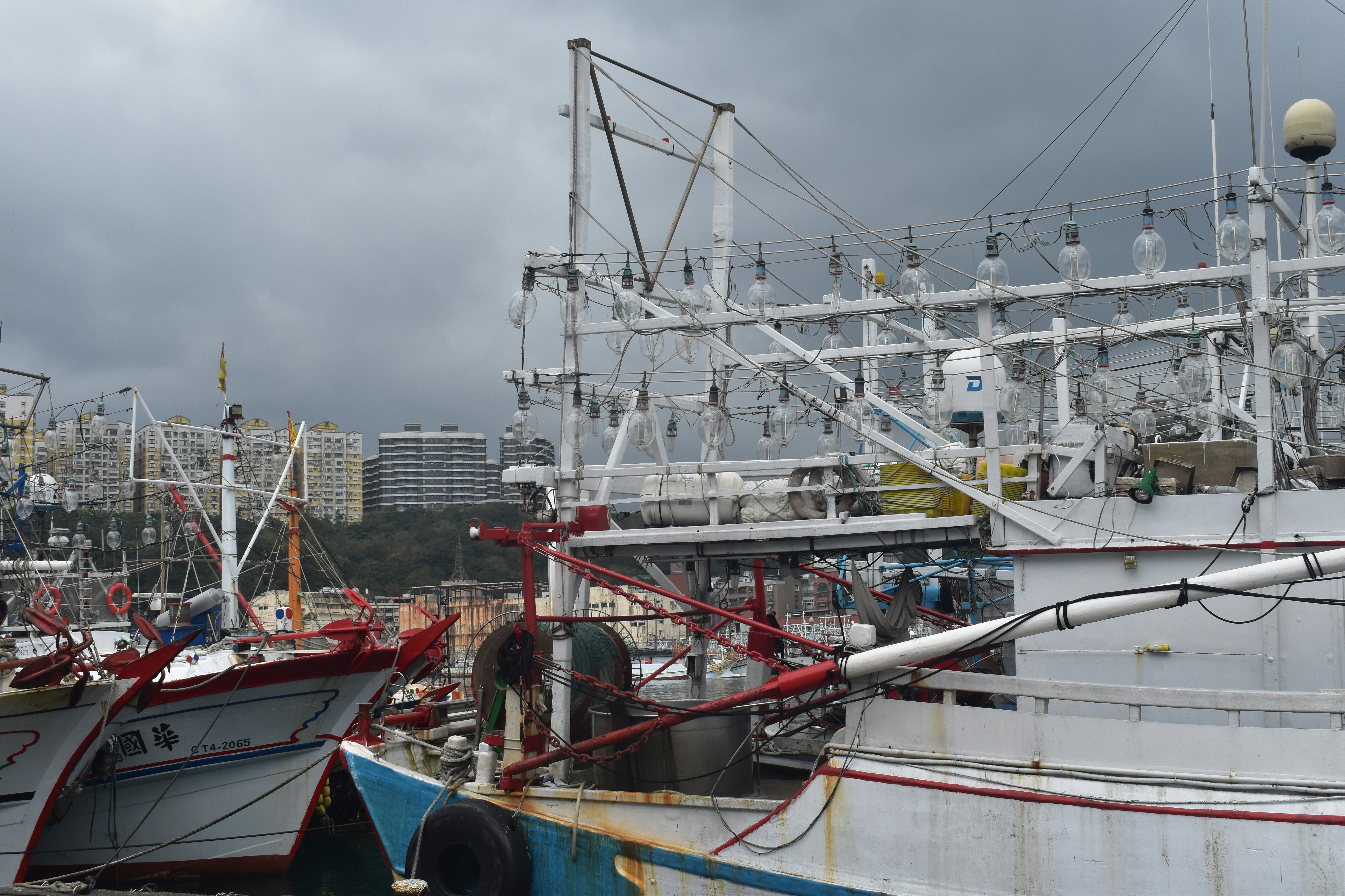 Dockside Rigging: A Fleet's Complex Spine Against a Cloudy Sky