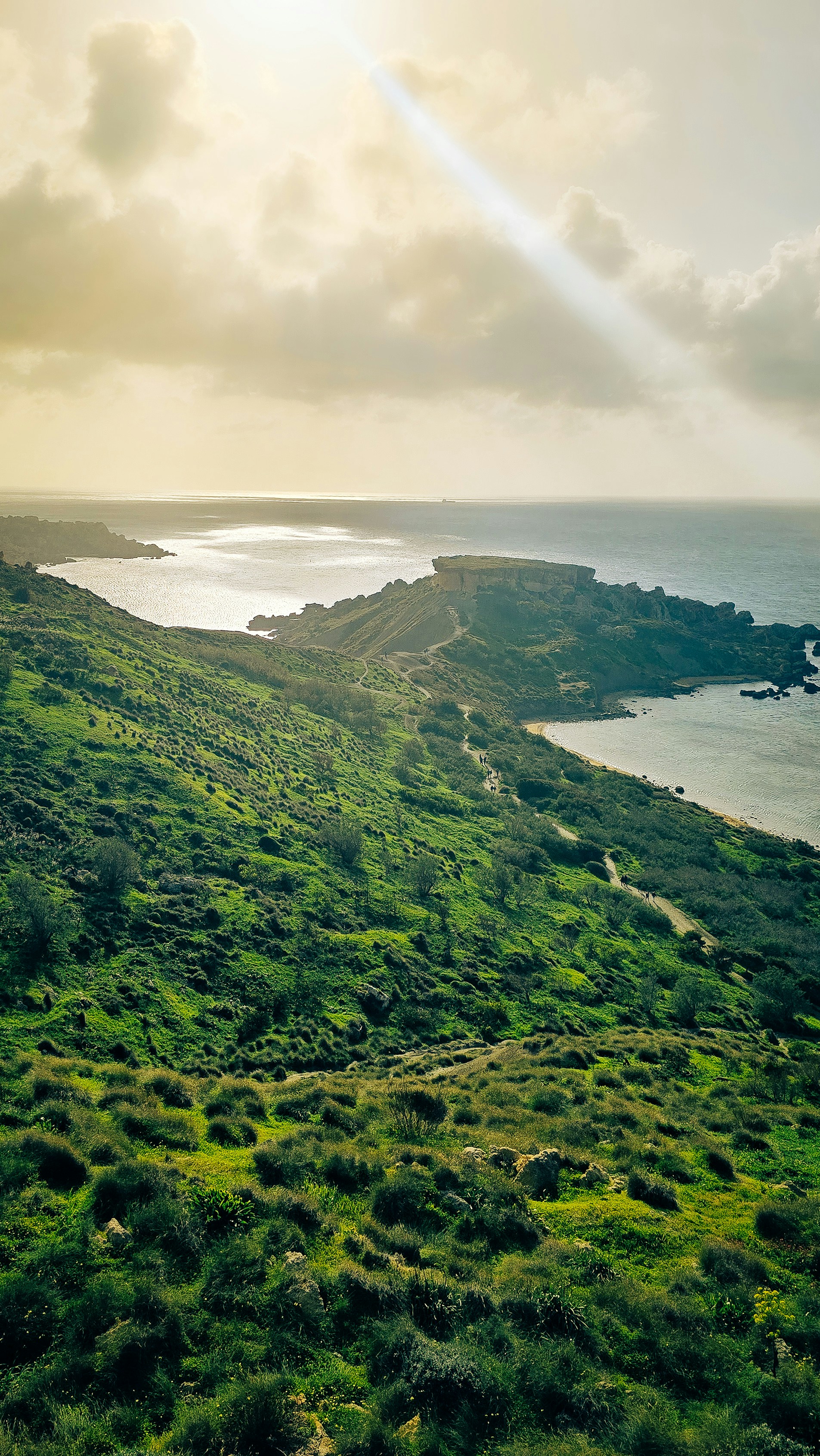 Sunlit ridge: a coastal hillside bathed in warm morning light