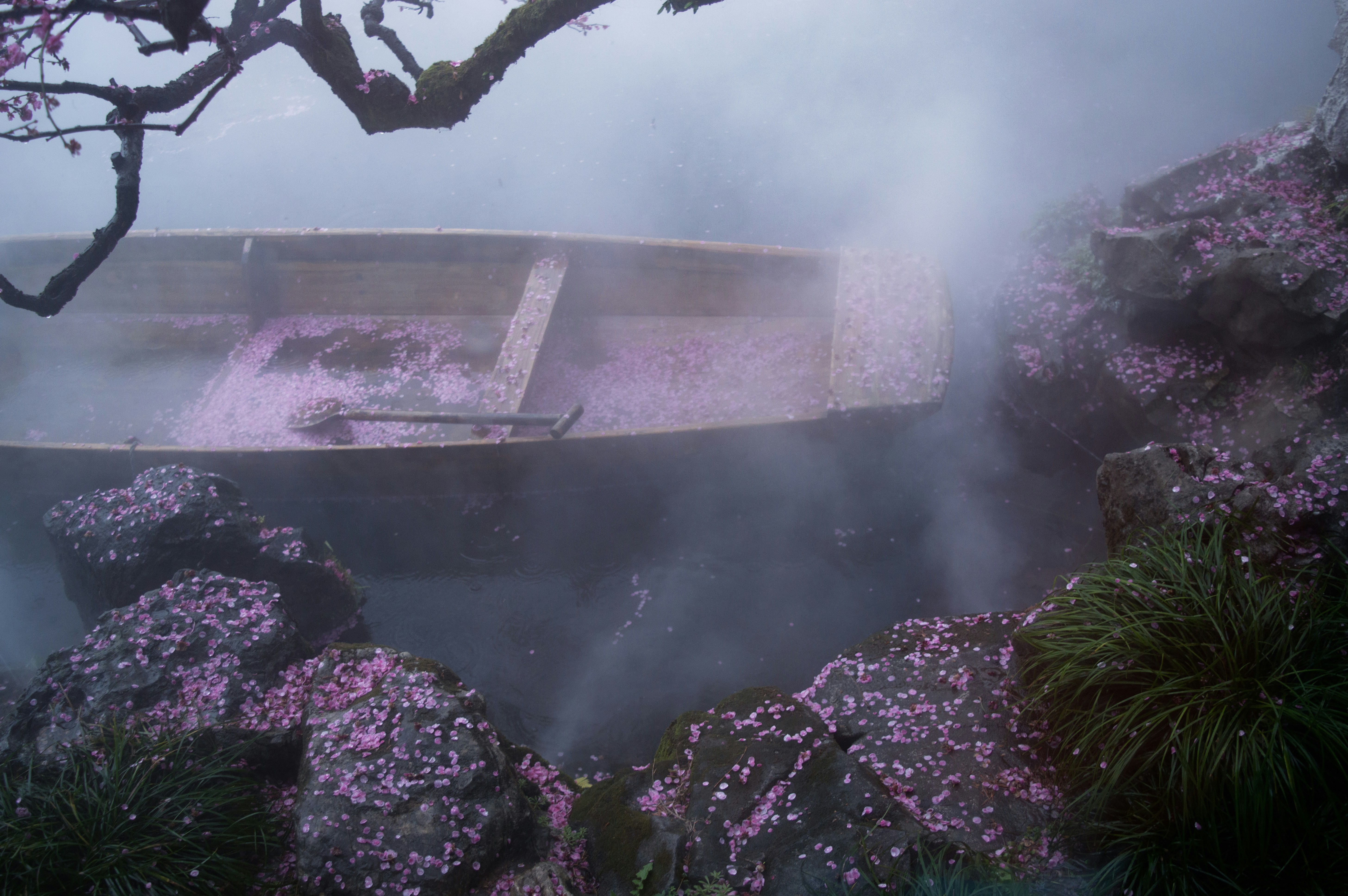 Mist over a stone bridge in a lavender-scented garden