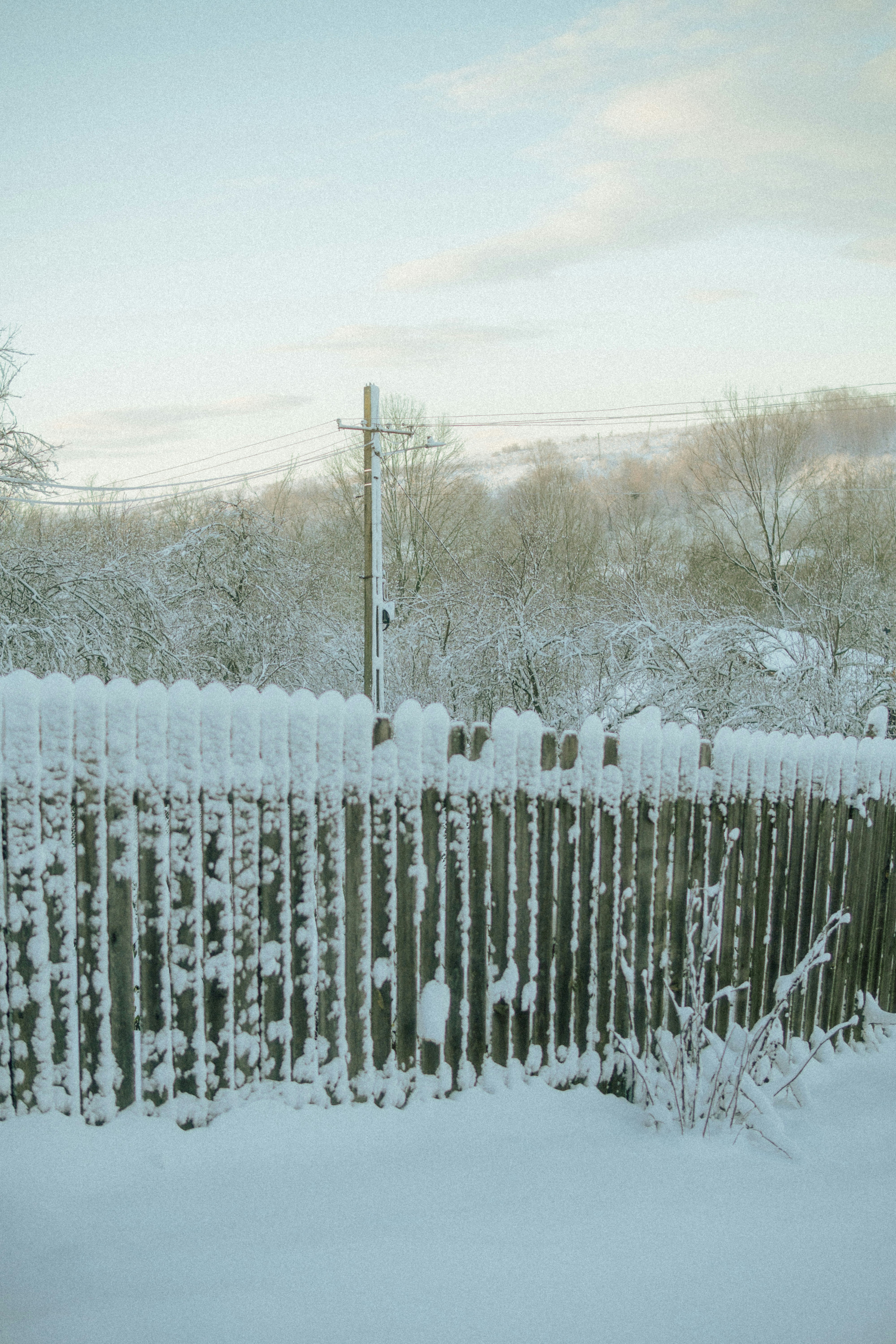 Snowbound Fence: Quiet Line of Fences Dusted in Dawn Light