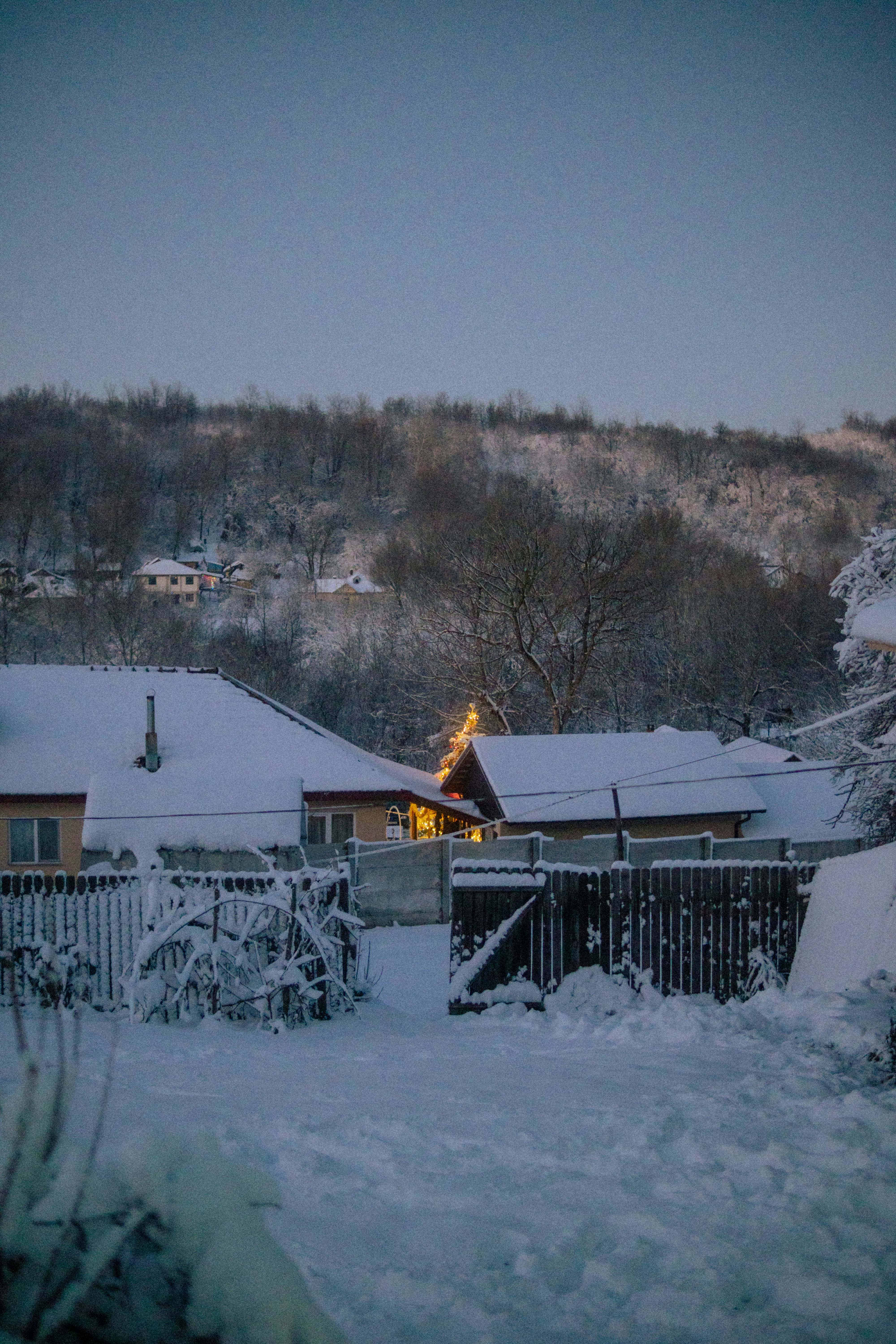 Warm Glow Amid Snowy Quiet: A Chalet Between Frosted Fences