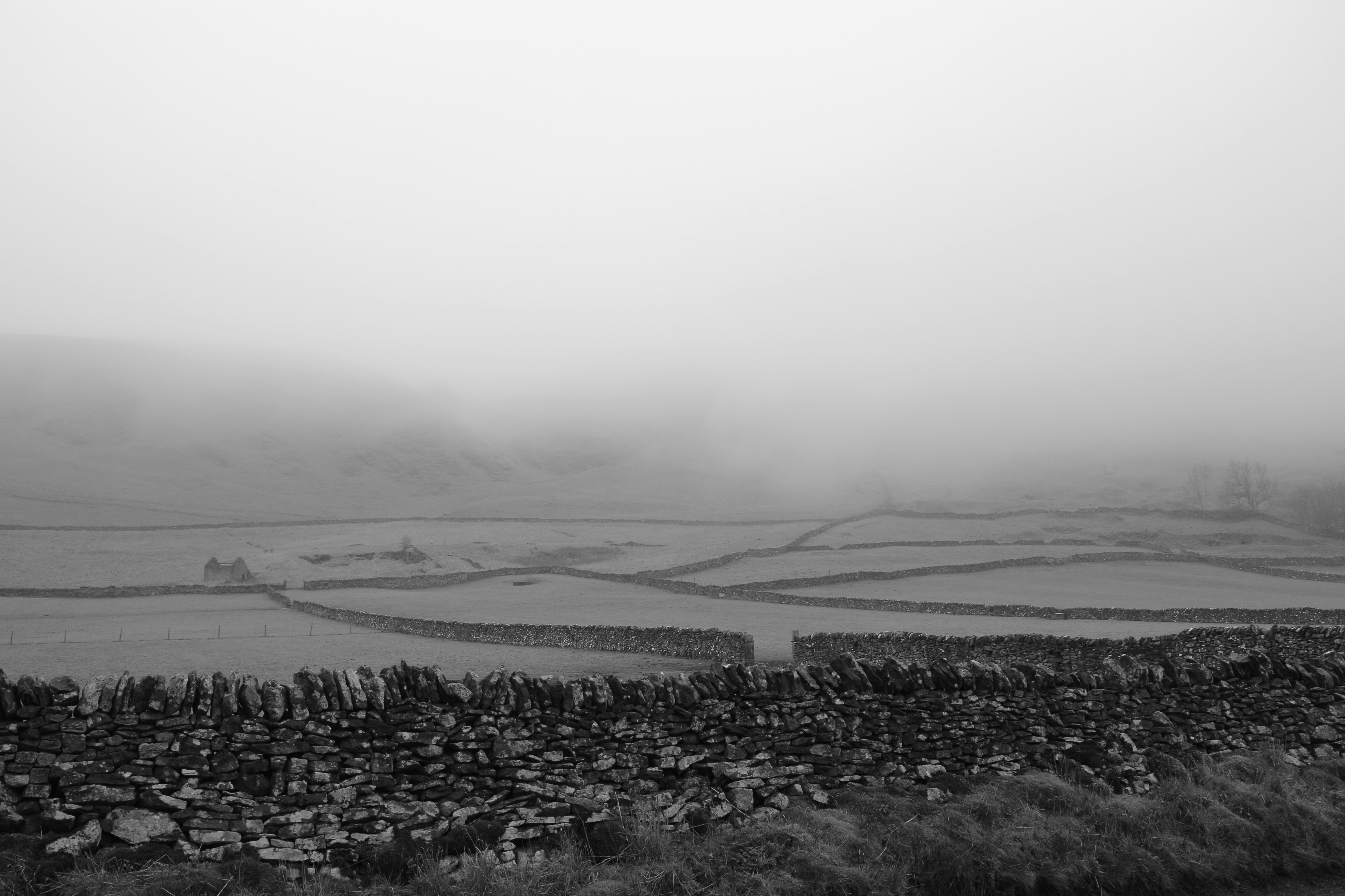 Stone Terraces beneath a Veiled Horizon