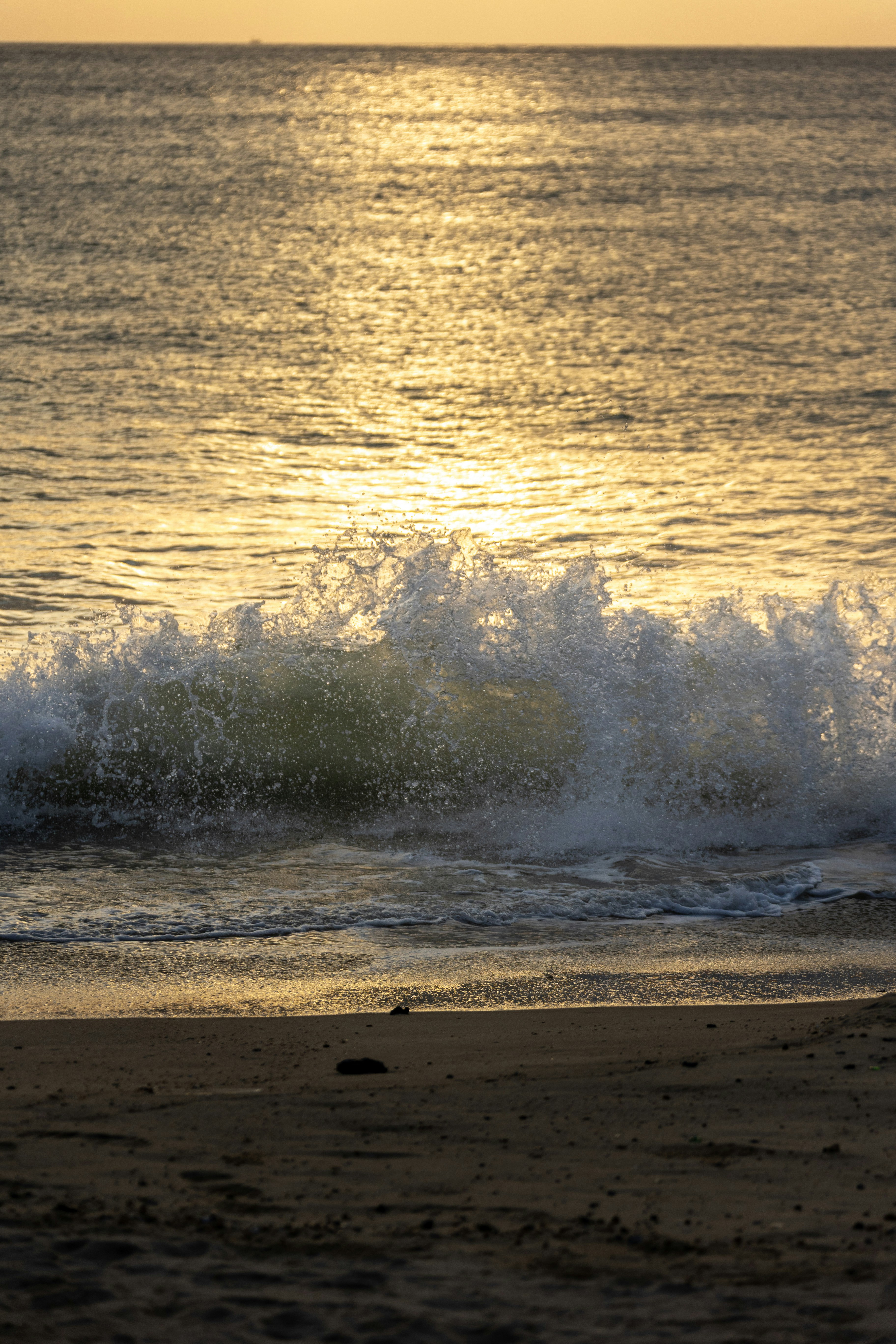 Golden Crest: Sunset Wave Break on a Quiet Shore