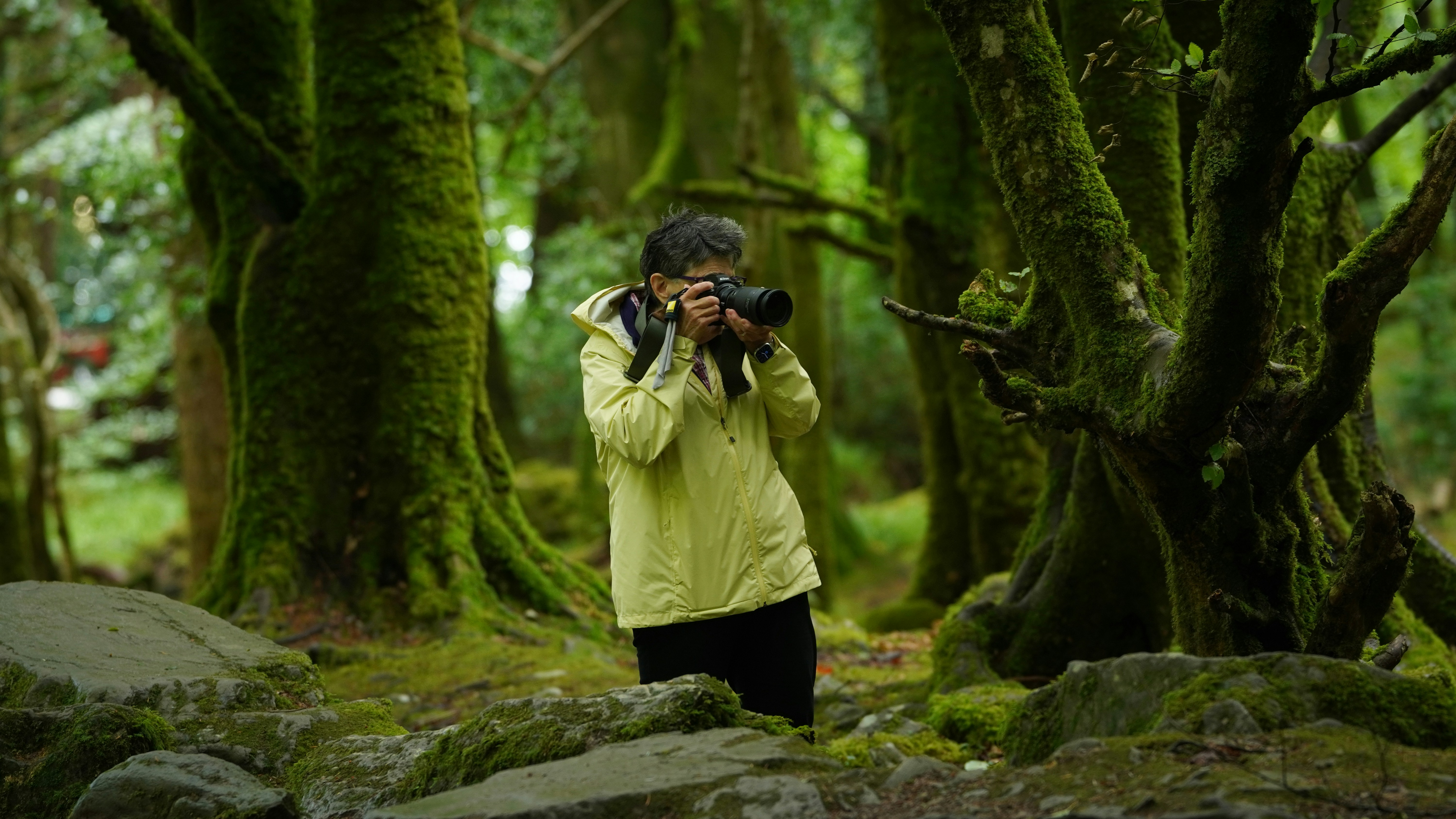 Forest Lens: Portrait of a Photographer Among Ancient Trees