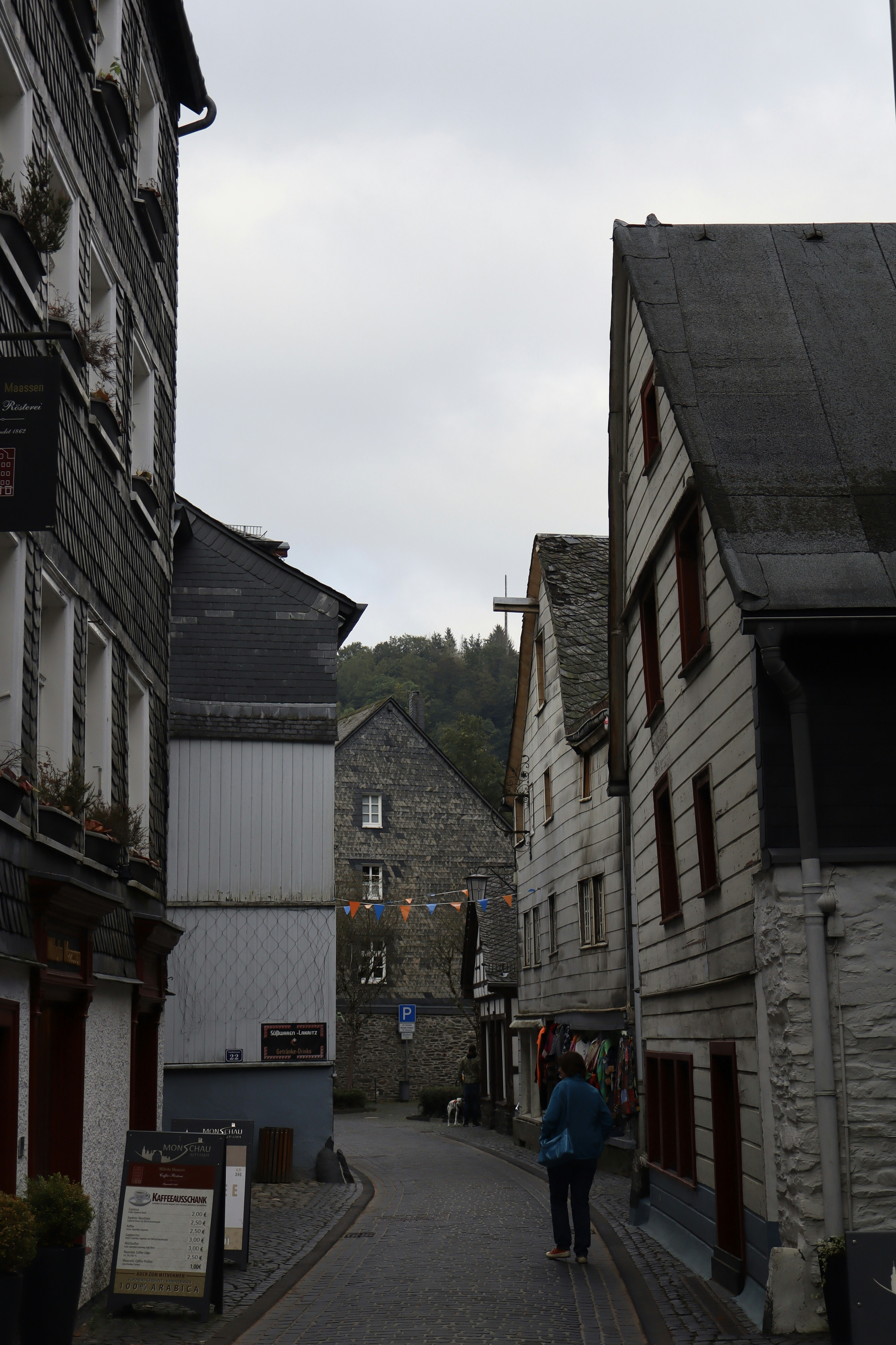 Cobbled Quiet: A Narrow Street Between Stone and Slate
