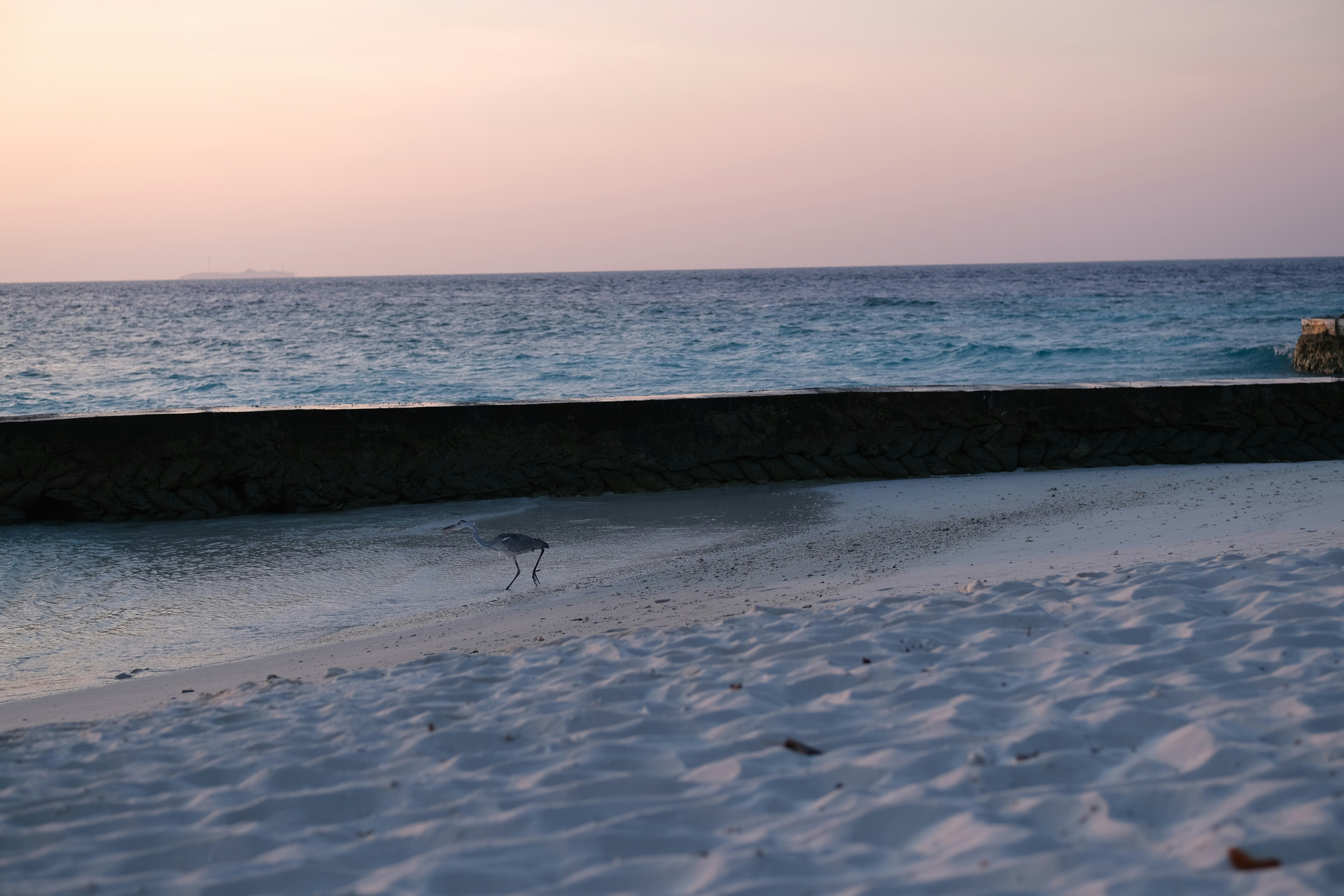 Dusk at the Seawall: Quiet Beach with a lone shorebird