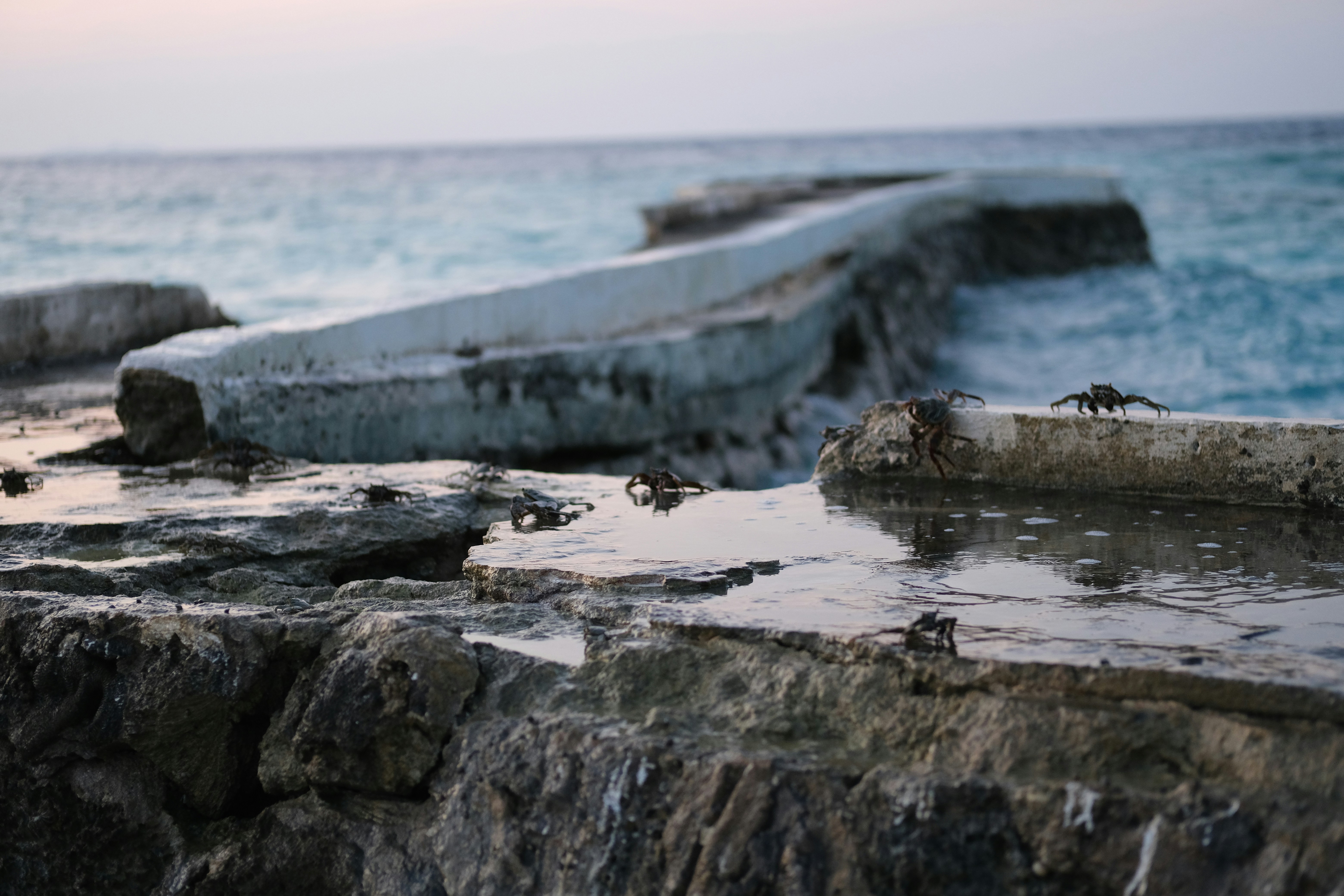 Cracked Tidewalk to the Quiet Horizon