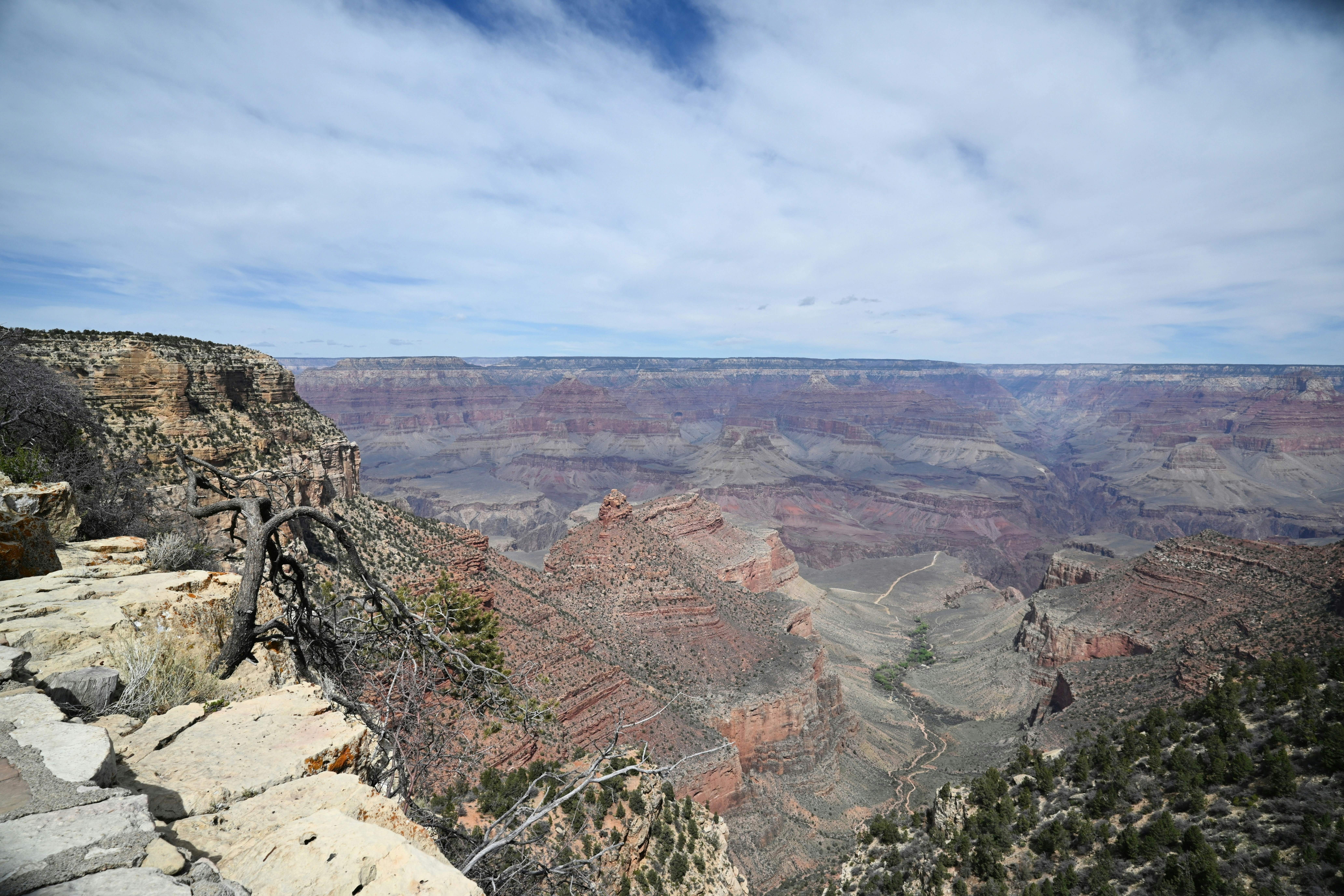Rim Overlook: Windswept Vista into the Grand Canyon