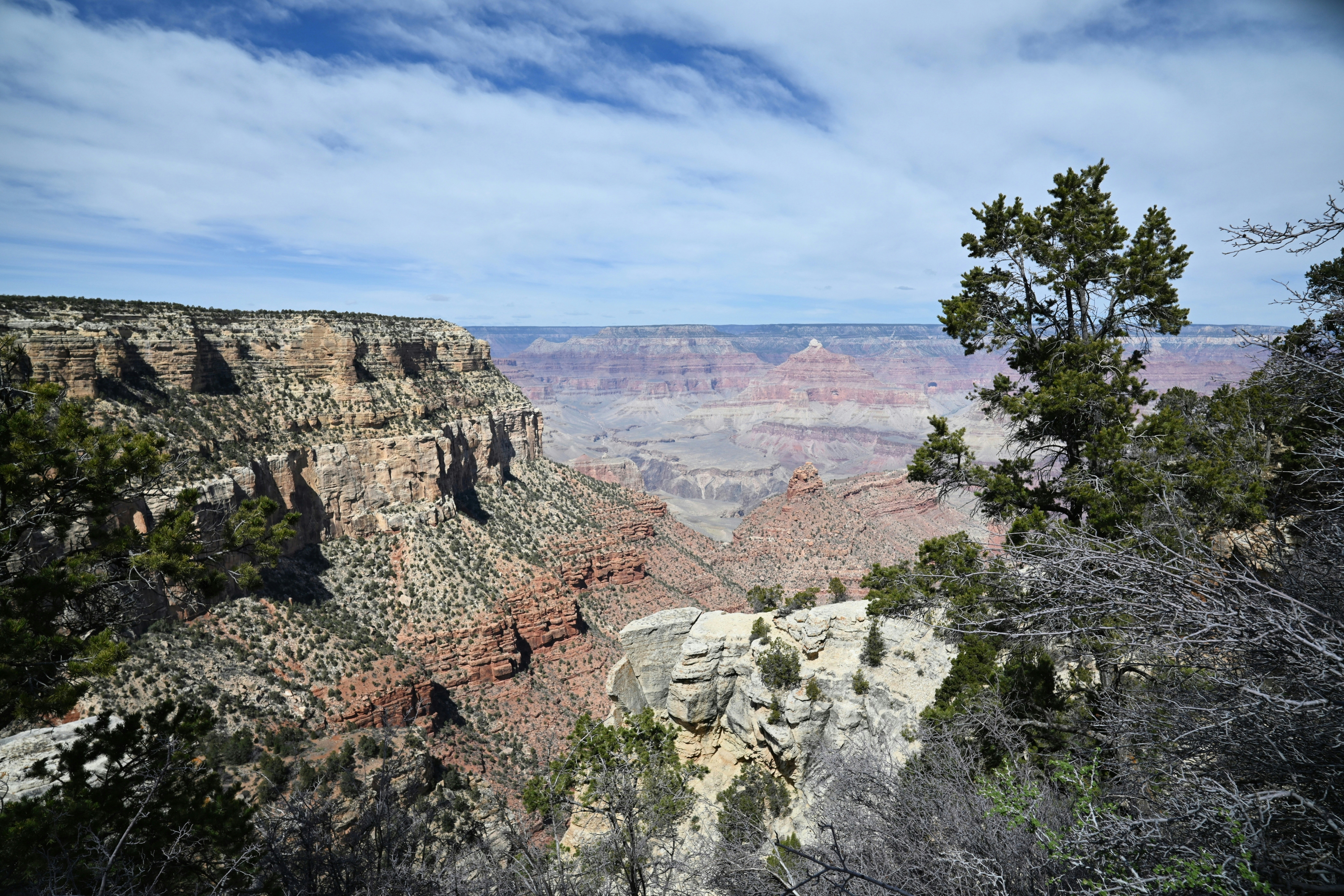 Edge of the Canyon: A Sunlit Vista from the Rim