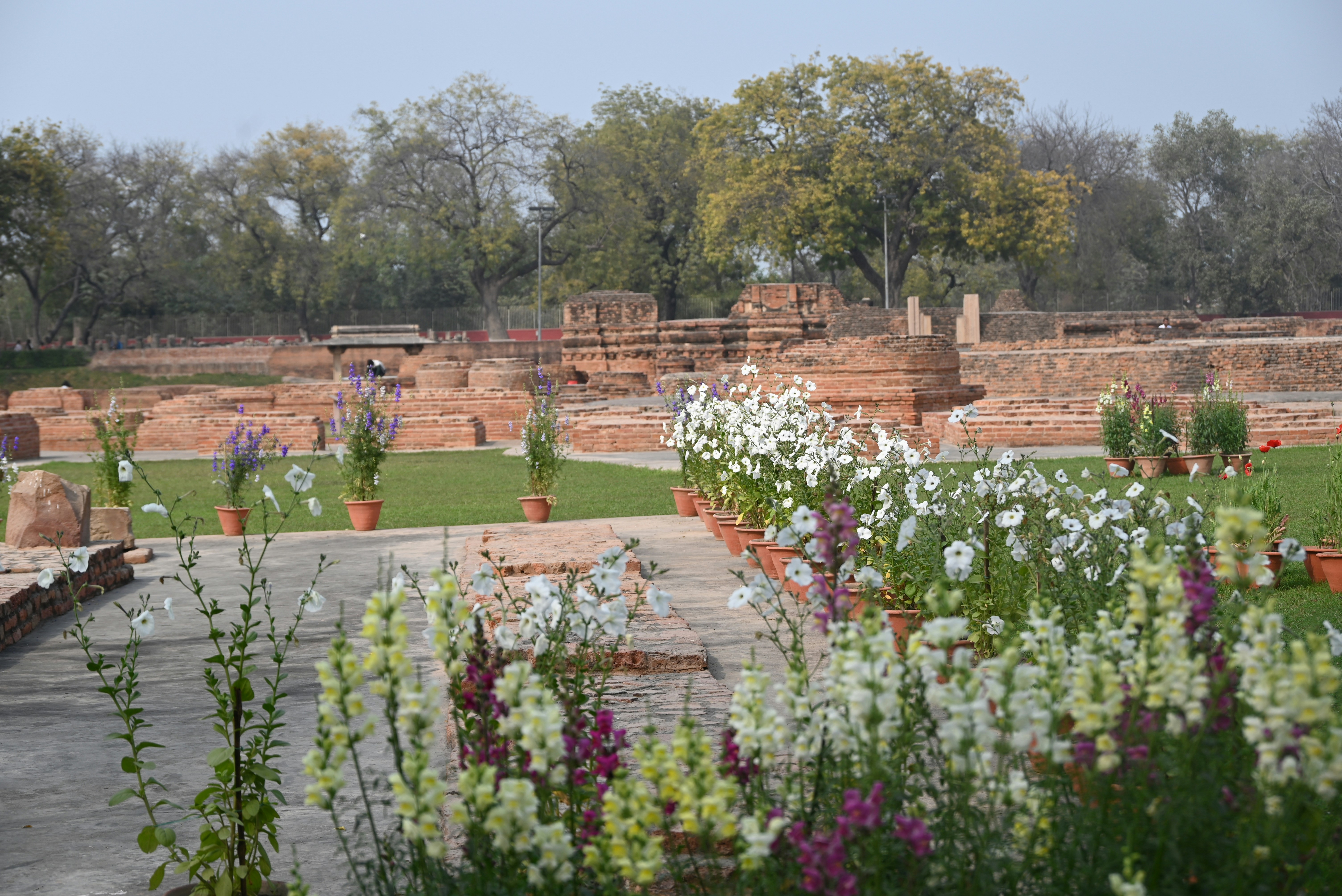 Quiet Oasis Among Ancient Brick Ruins