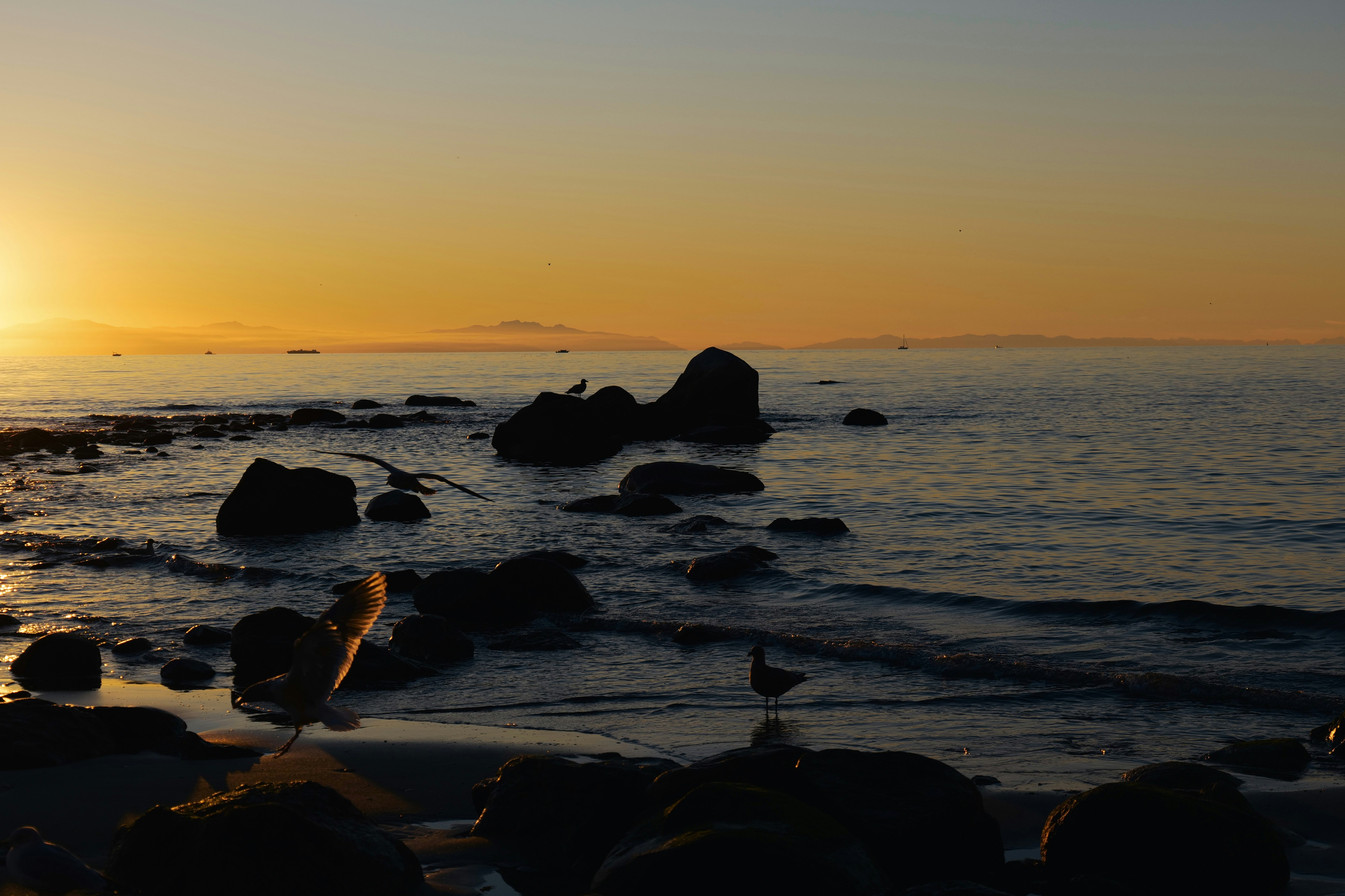 Quiet Shoreline at Sunset with Silhouetted Rocks