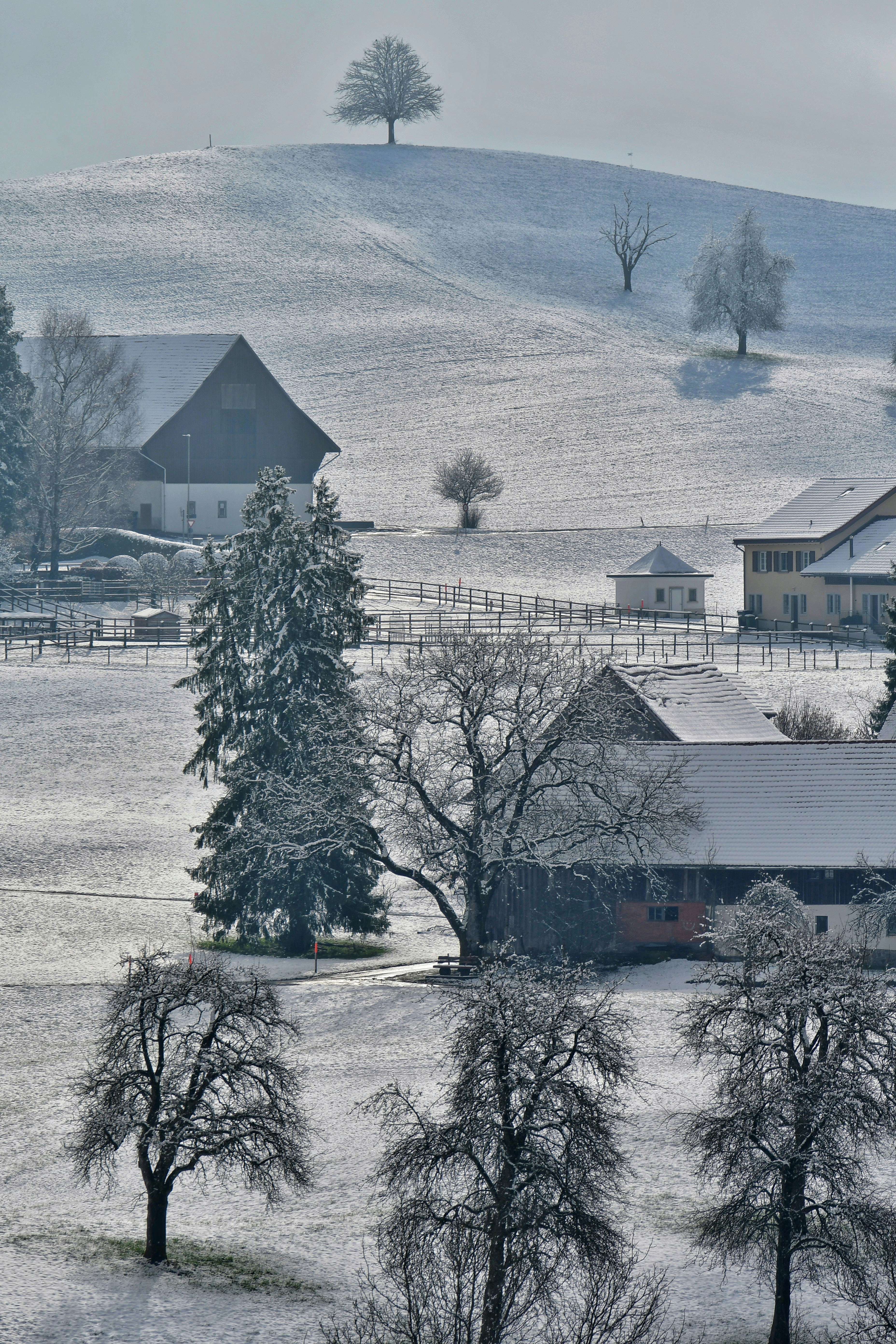 Snowbound Homestead Under a Quiet Hill