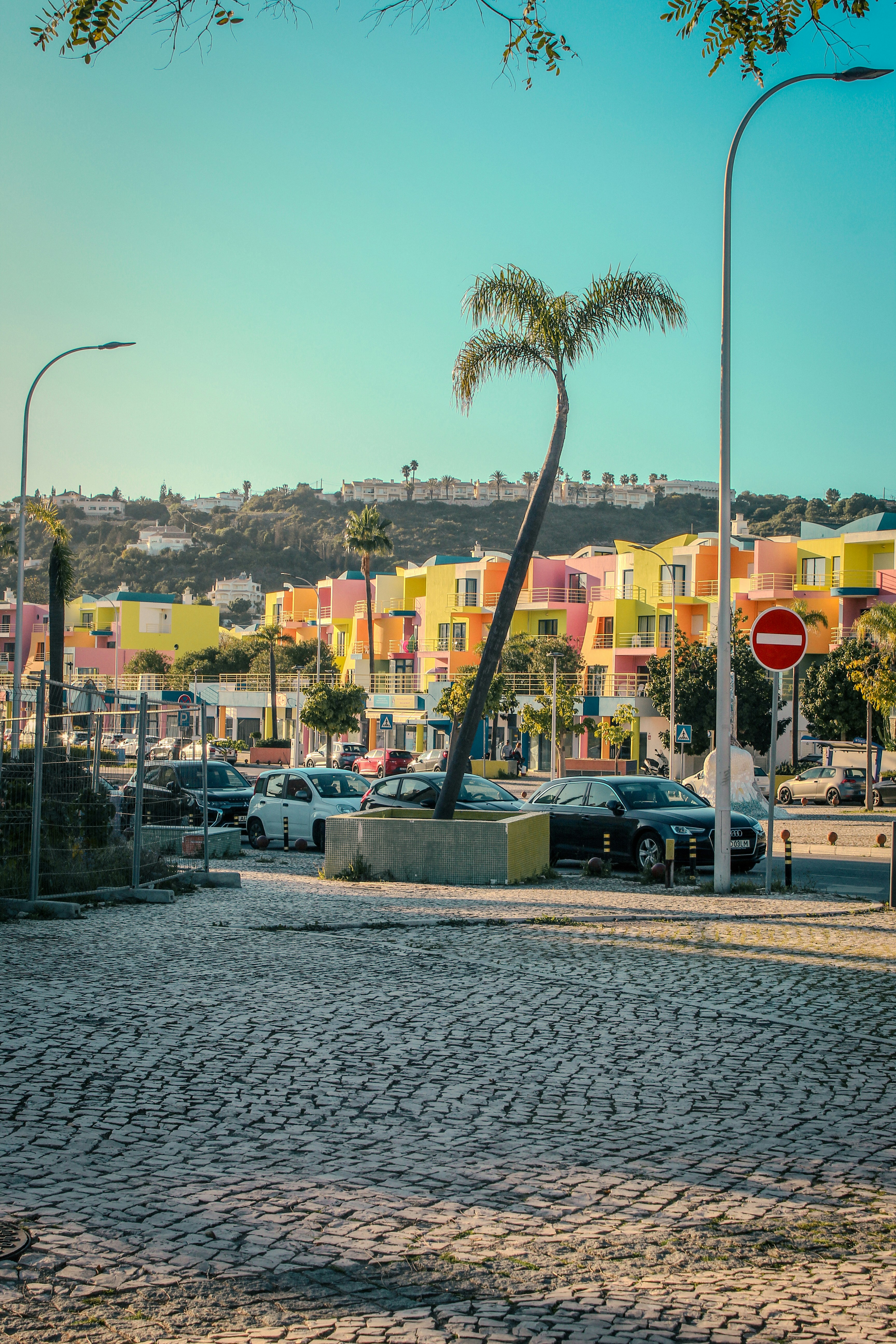 Colorful Coastal Street: A Serenade of Buildings and Palms