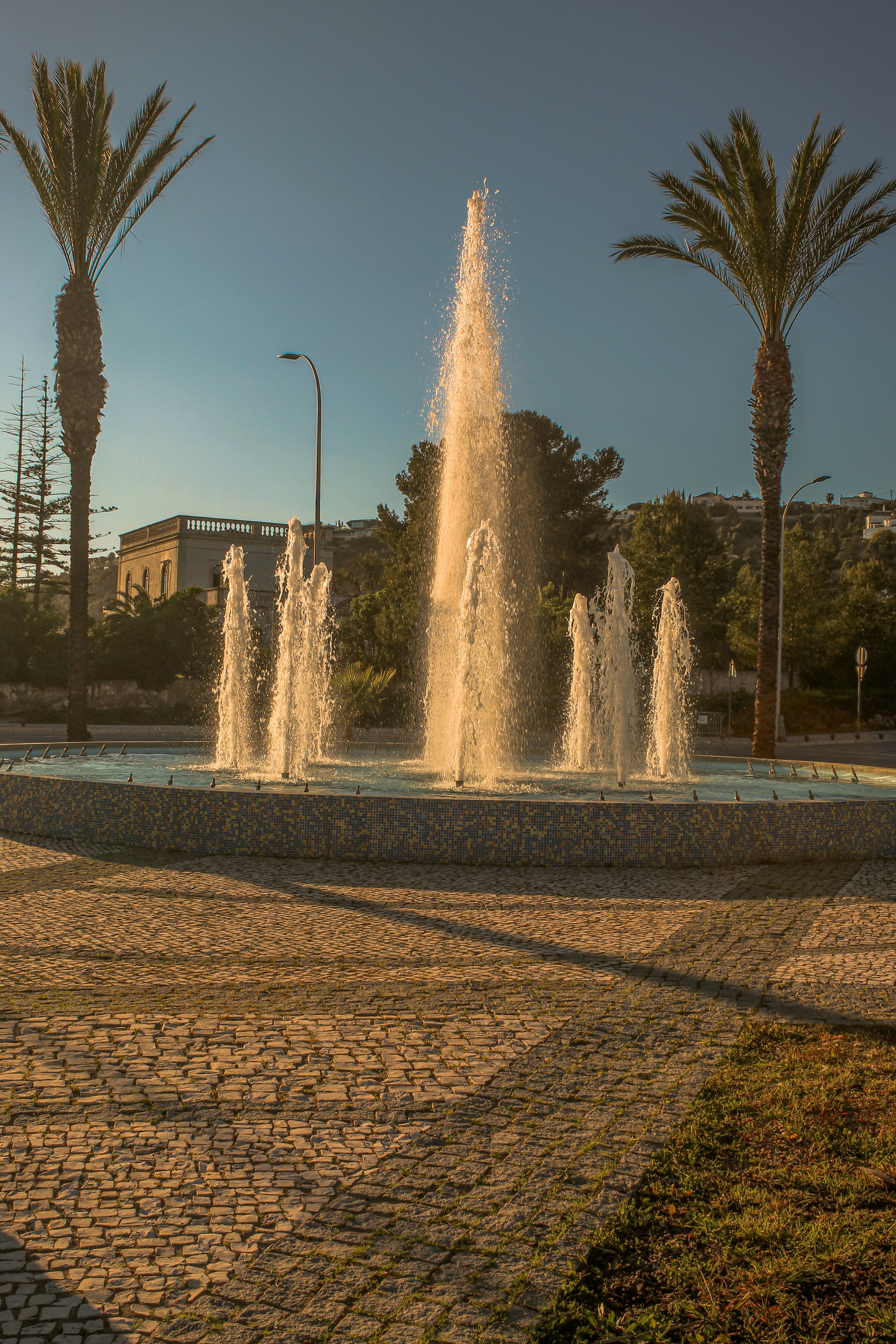 Central Fountain Gravity: A Sunlit Piazza Parade