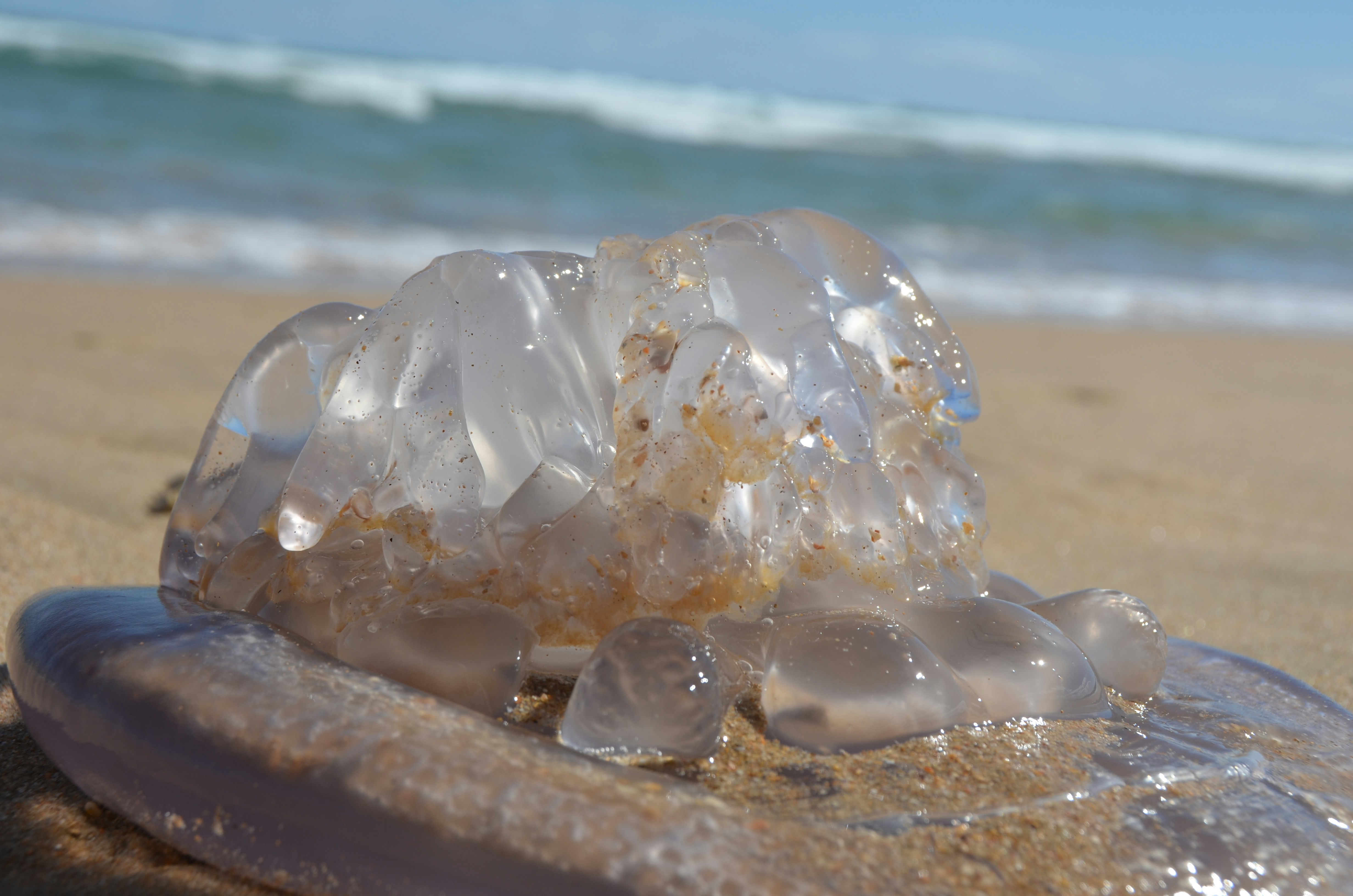 Crystal Sculptures on a Sunlit Shore