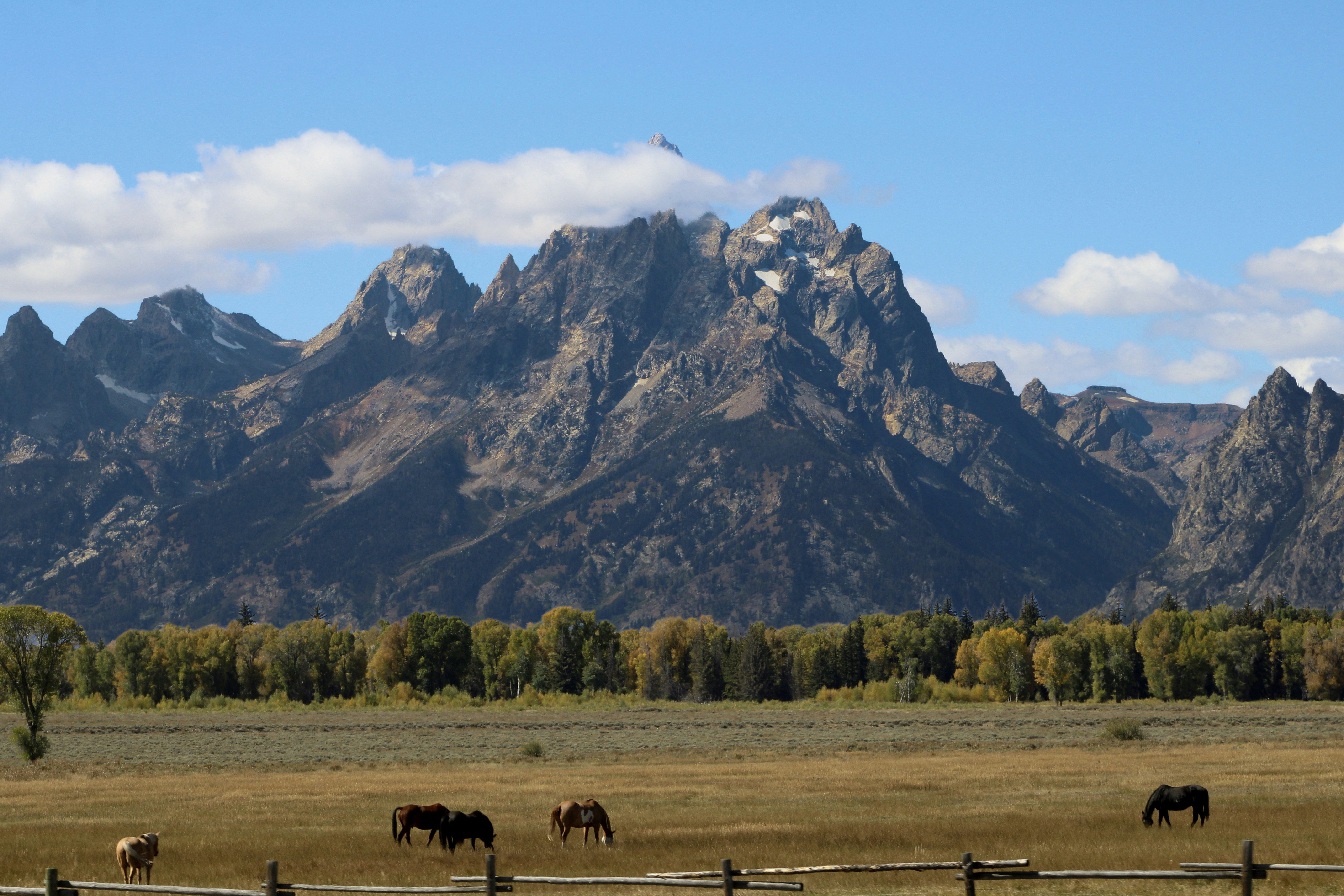 Mountain amphitheater over autumn plains