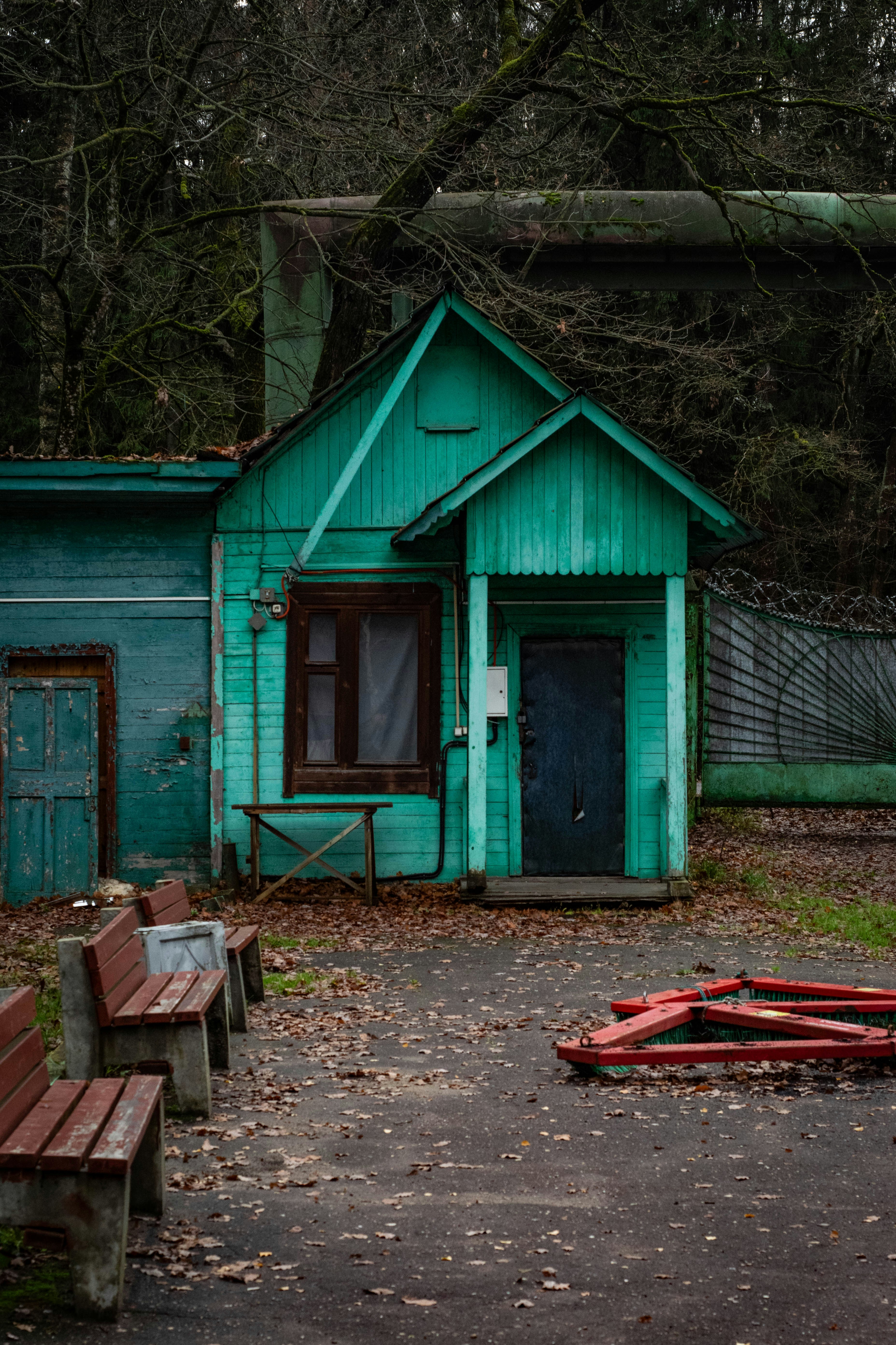 Teal Cabin at the Edge of a Leaf-Littered Courtyard
