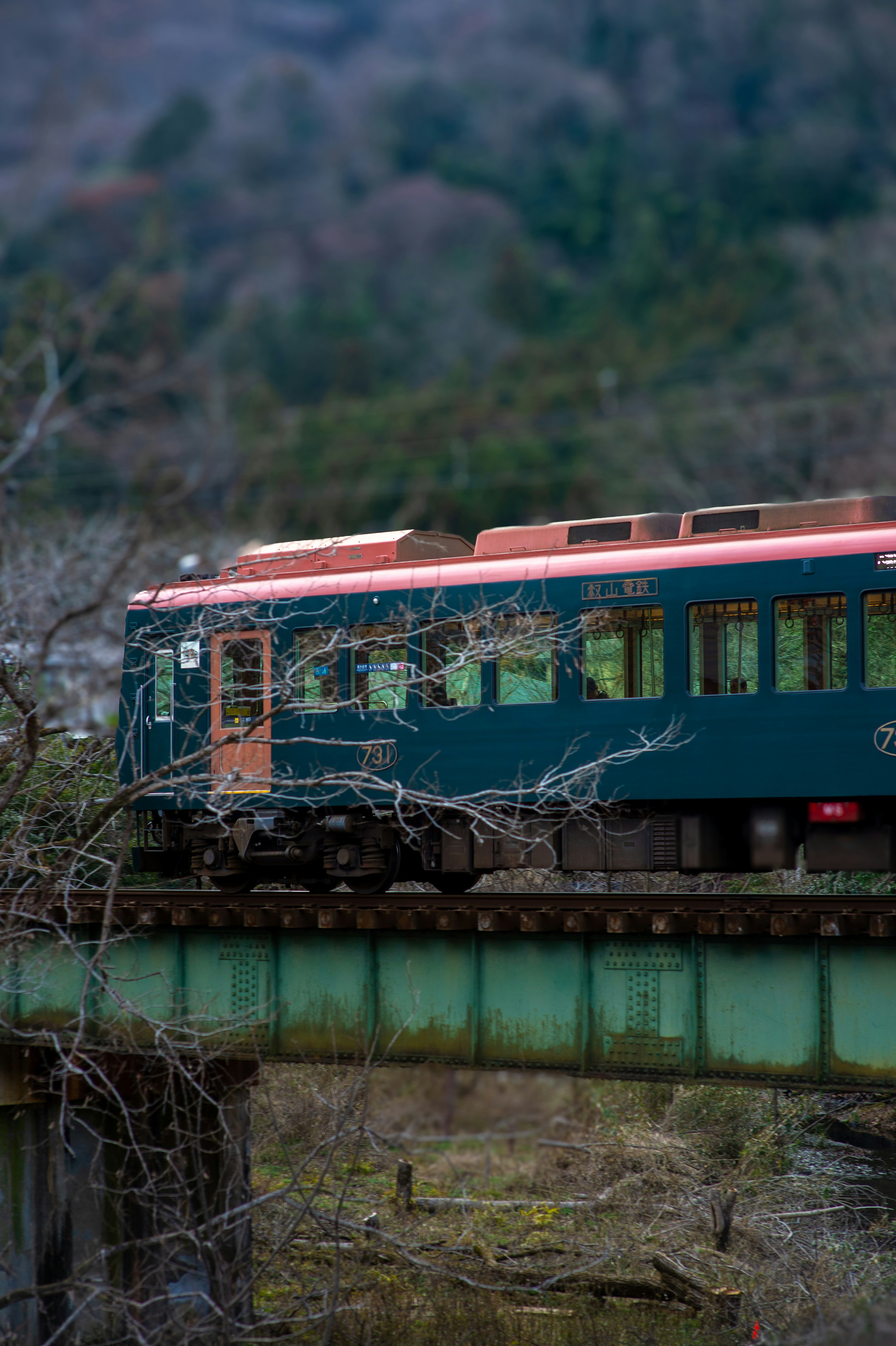 Locomotive on a Quiet Green Viaduct