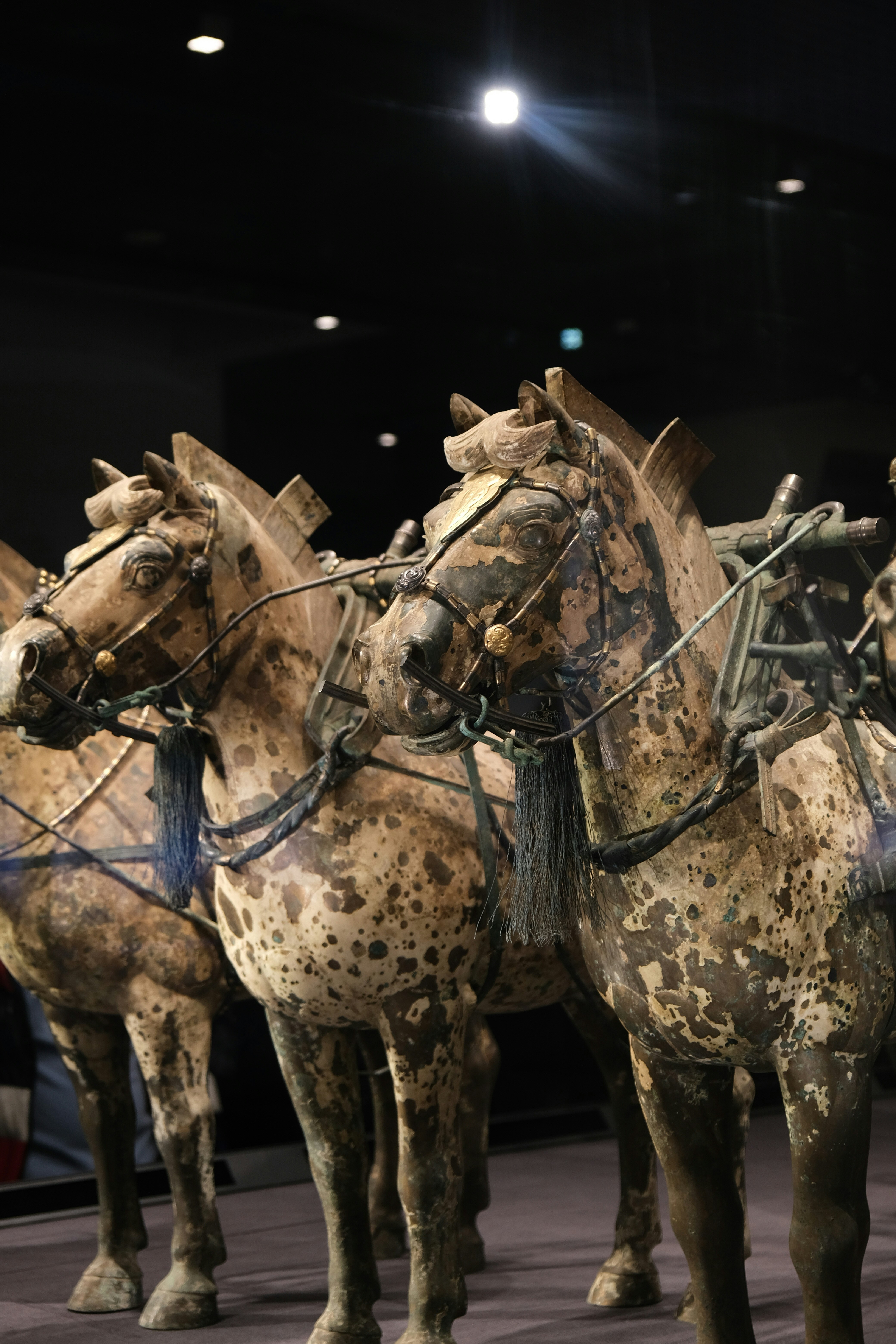 Stalled in Spotlight: A Row of Mud-Speckled Horses Under Gallery Lights