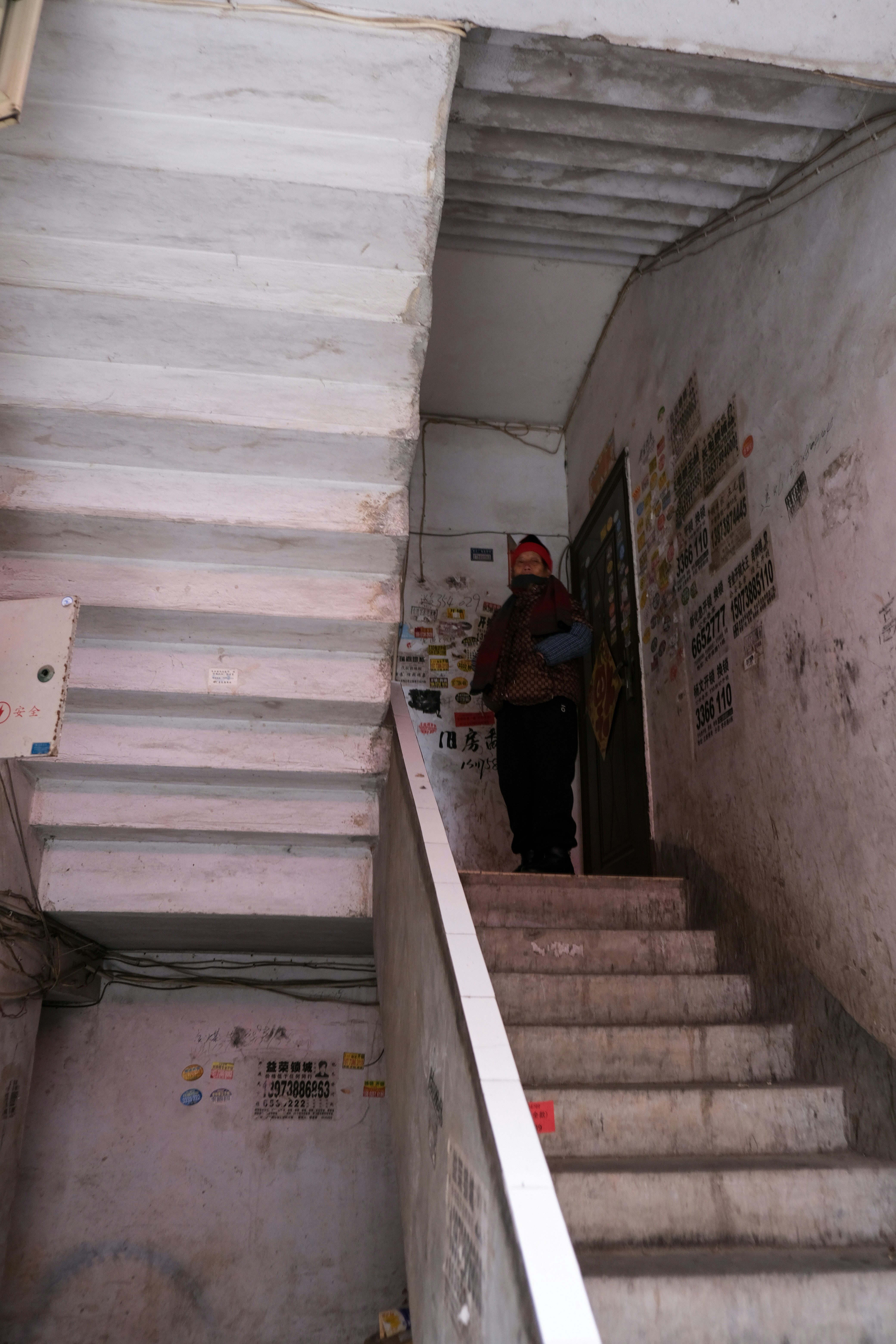 Stairwell Stalker: A Quiet Figure at the Stairway Threshold