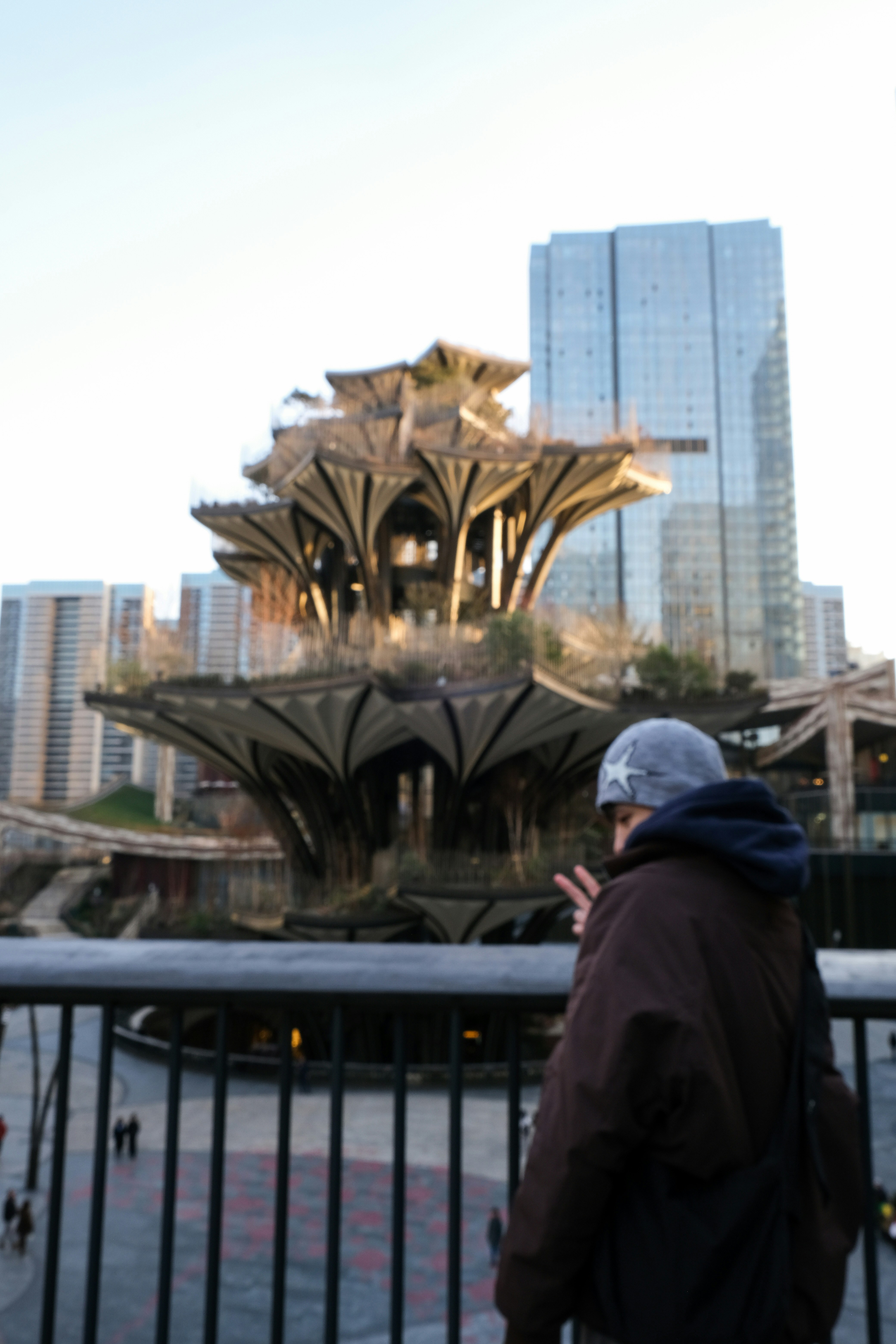 Urban Oasis: The Floating Canopy Against the Glass Skyline