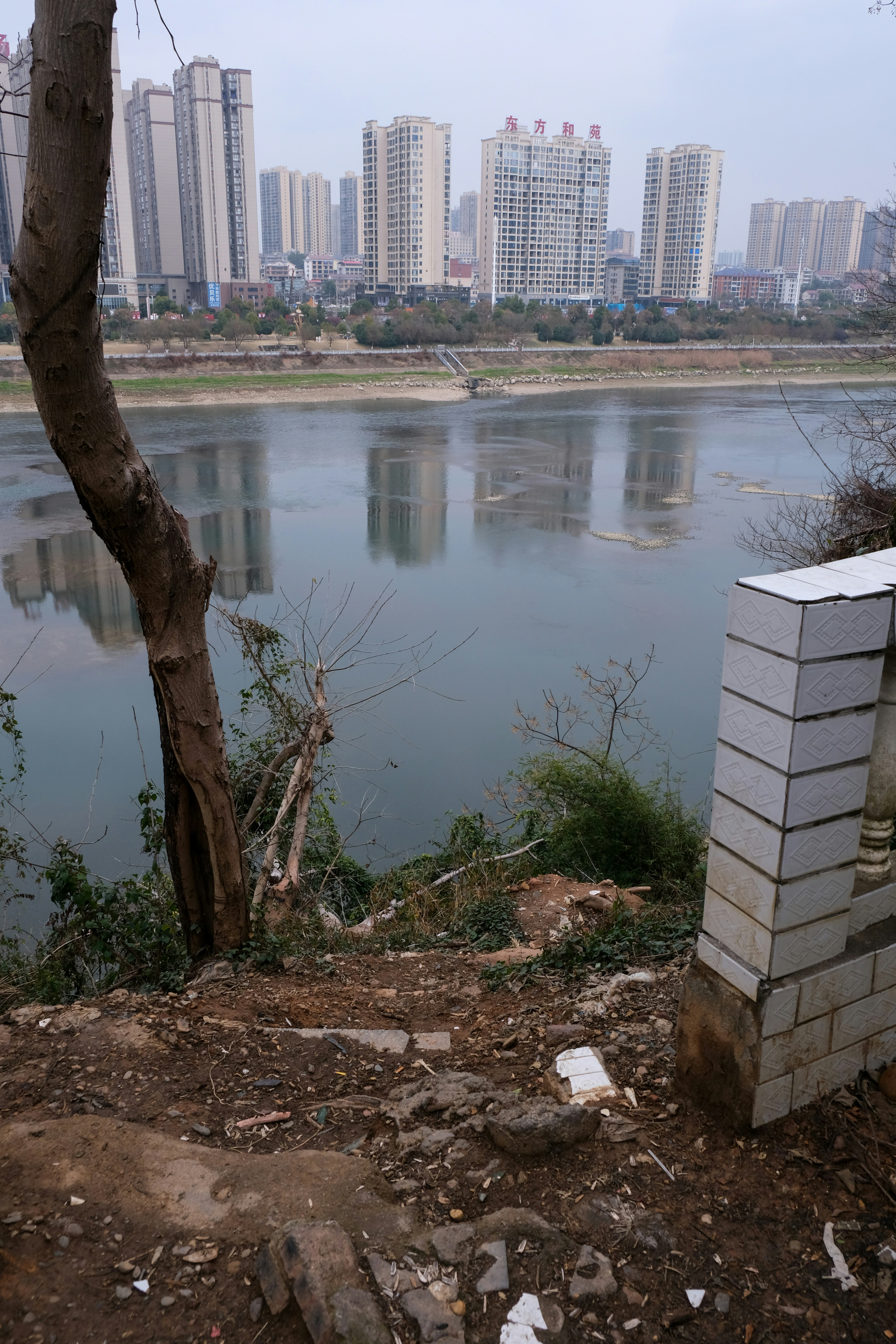 Riverside Echo: Urban Towers Reflect Across a Quiet Water
