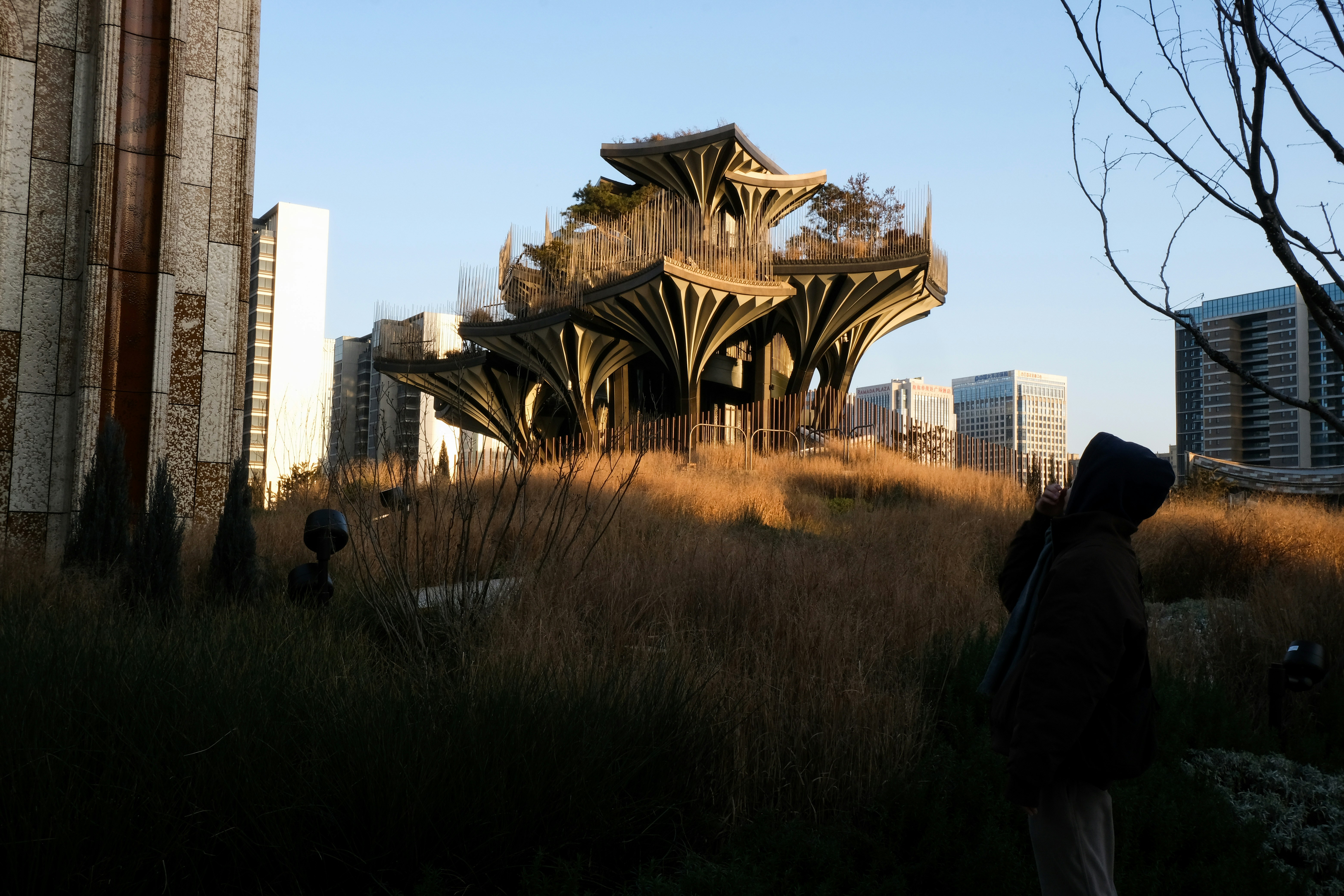 Urbanscape Cathedral: Concrete Carved Canopy against a Skyline