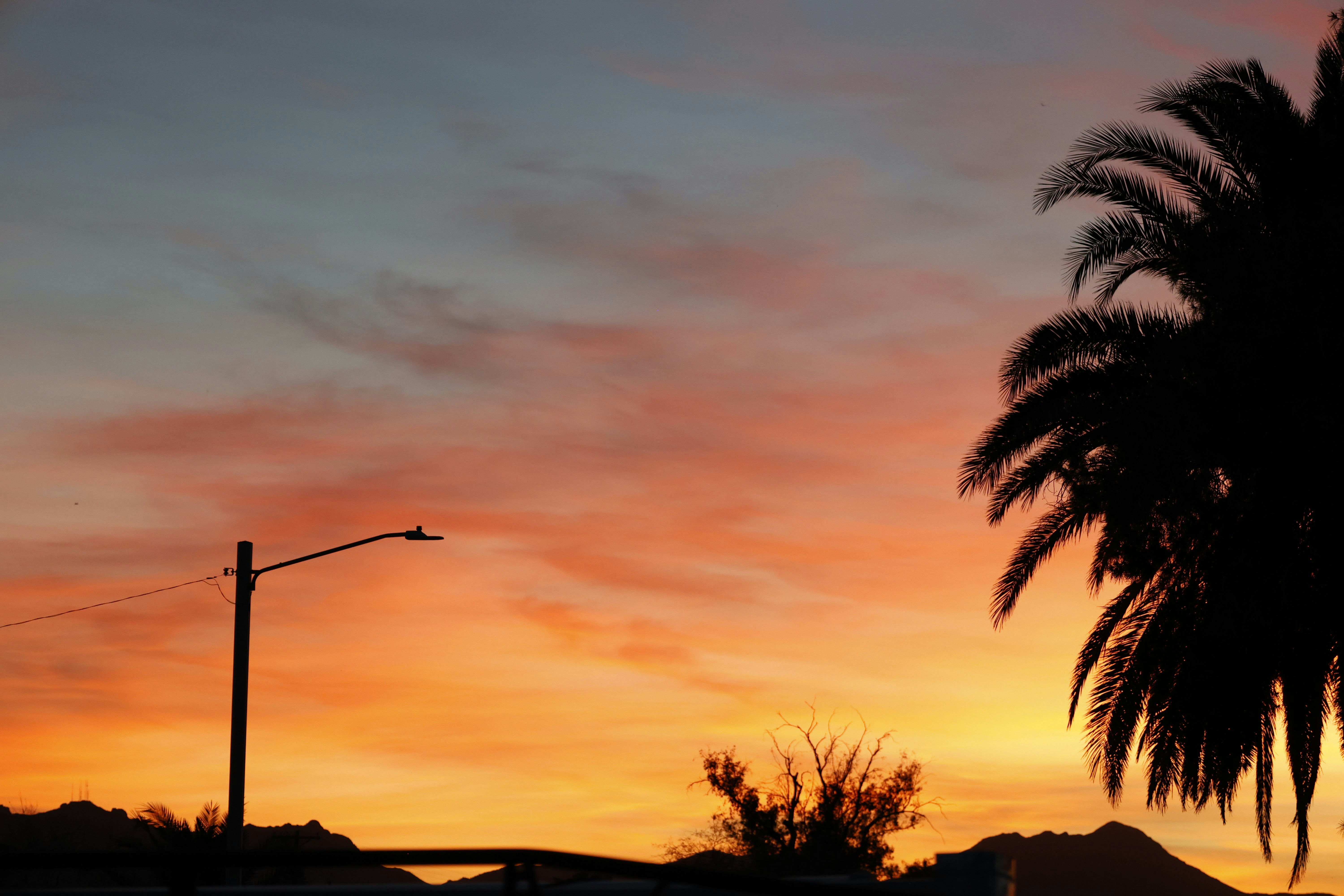 Silhouette Sunset: Palm and Powerline Serenade