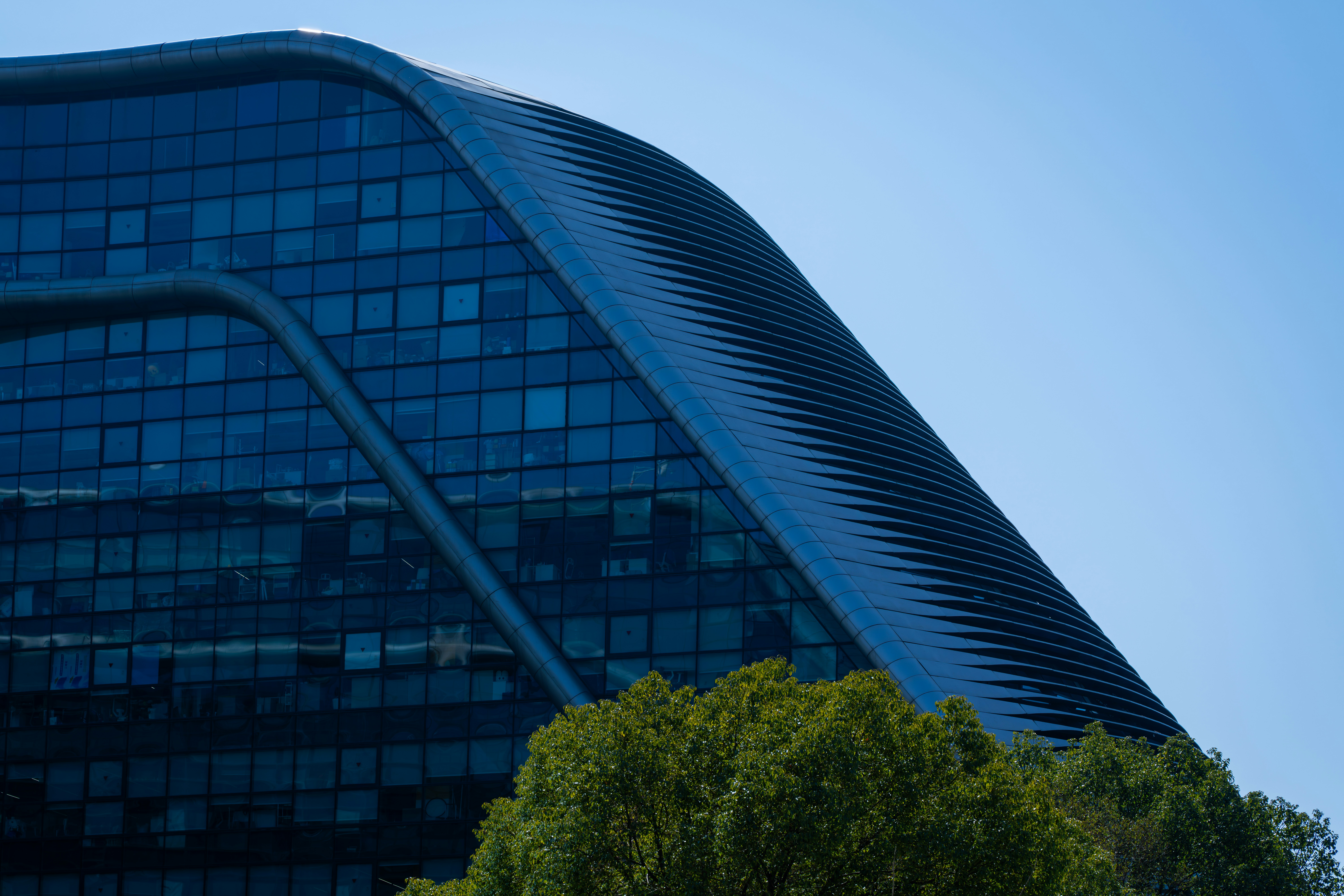 Curved Glass and Verdant Edge