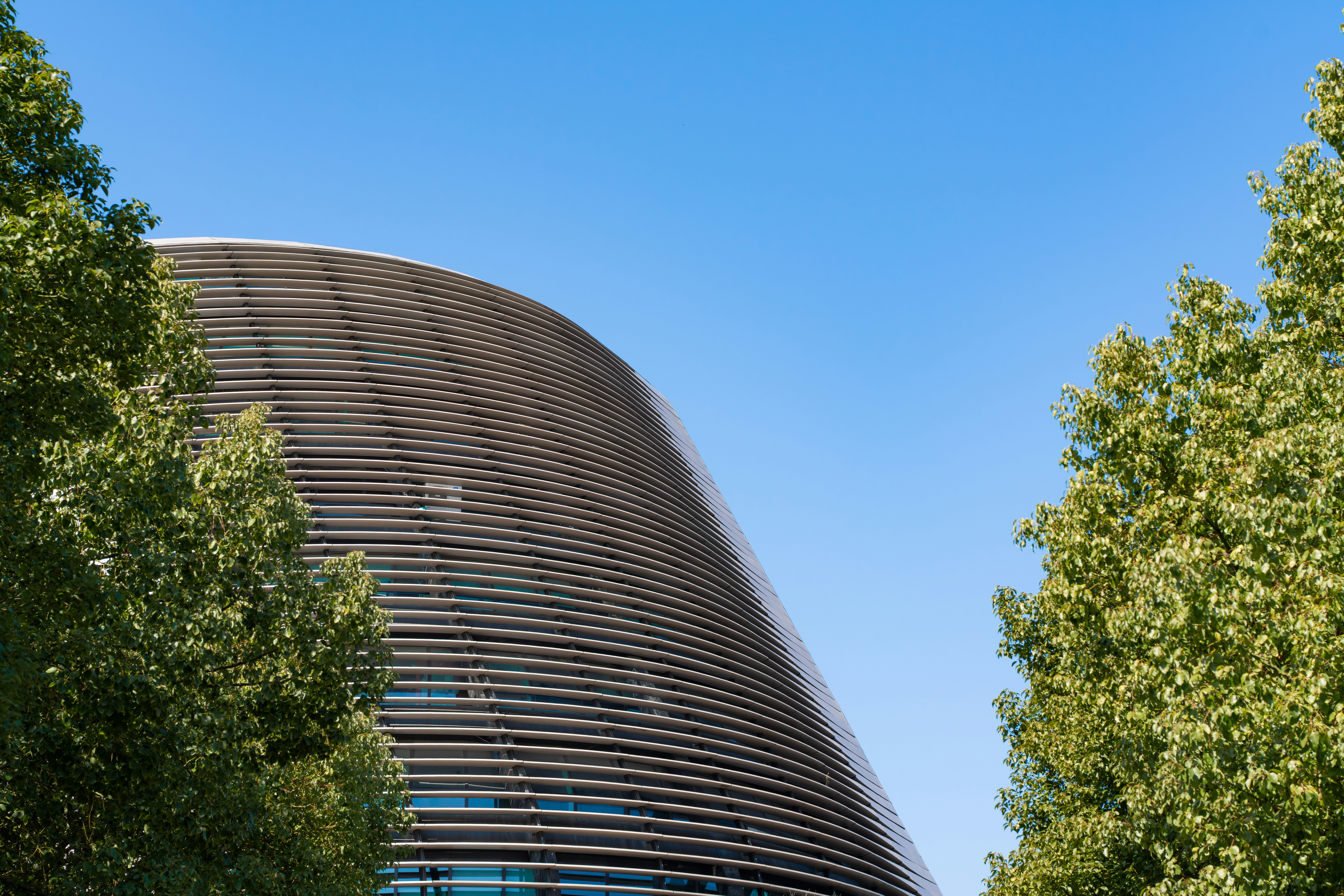 Rounded Facade of a Modern Building Framed by Greenery