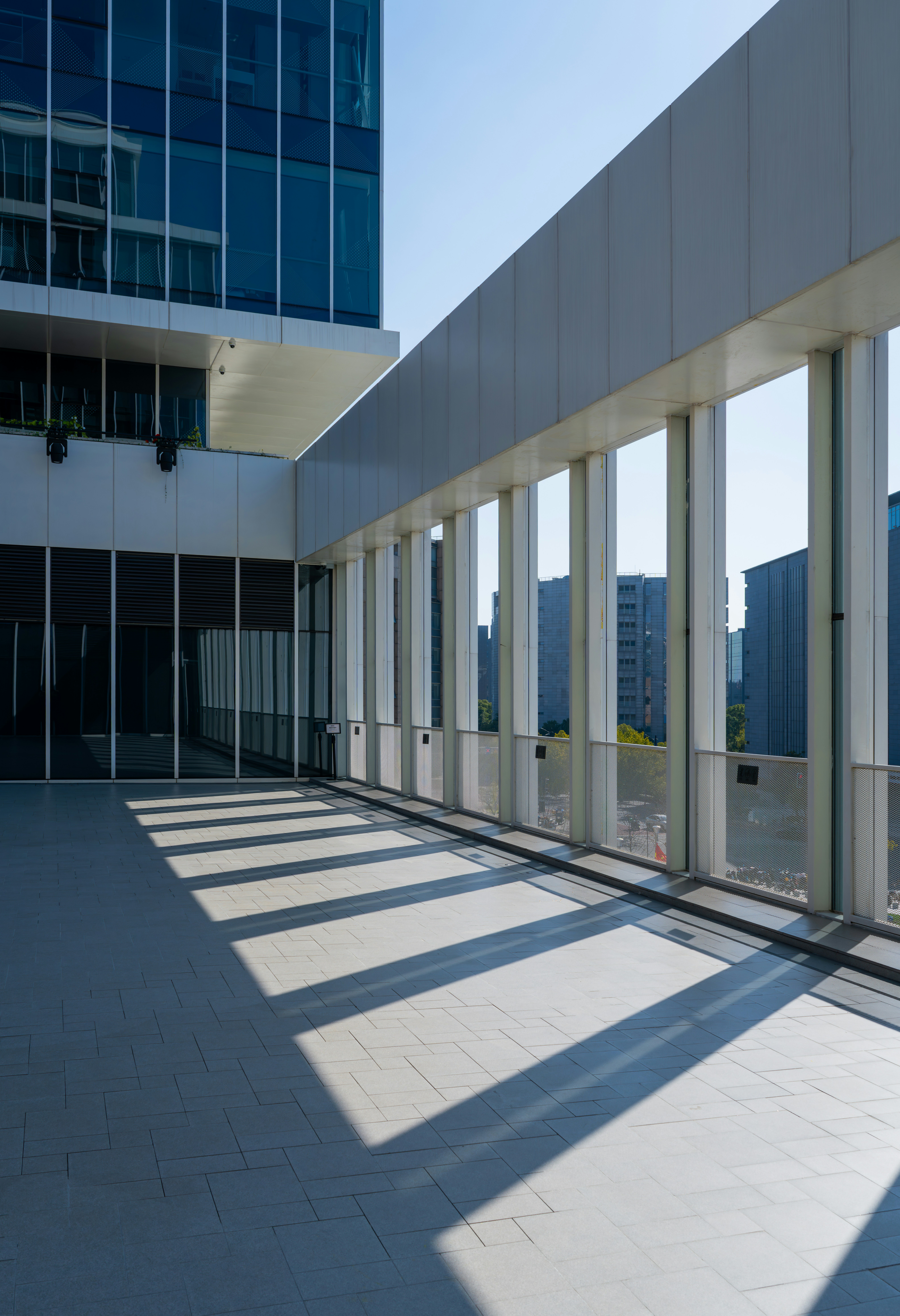 Modern building with glass windows and long shadows.