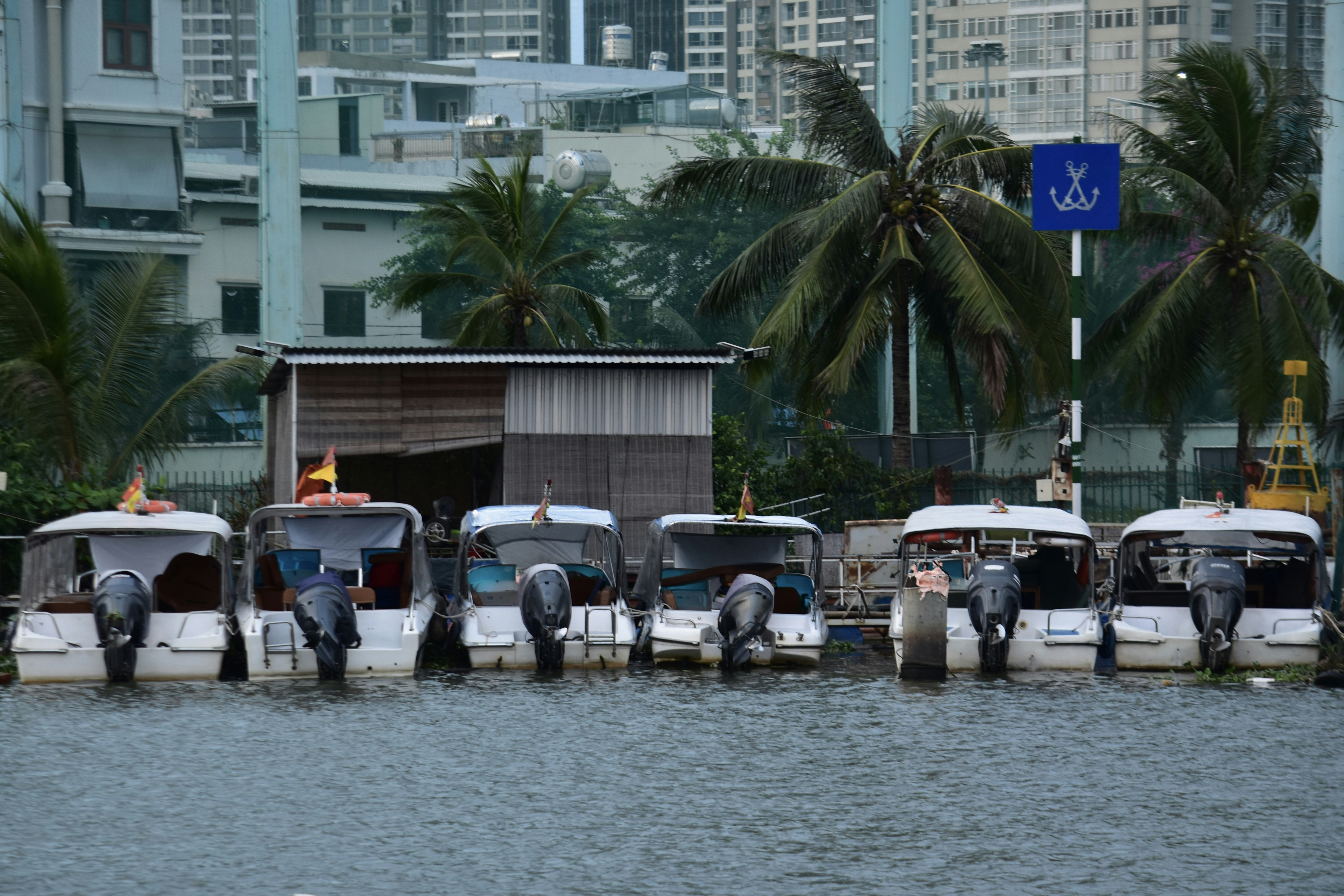 Dockside Outboard Lineup at Dusk