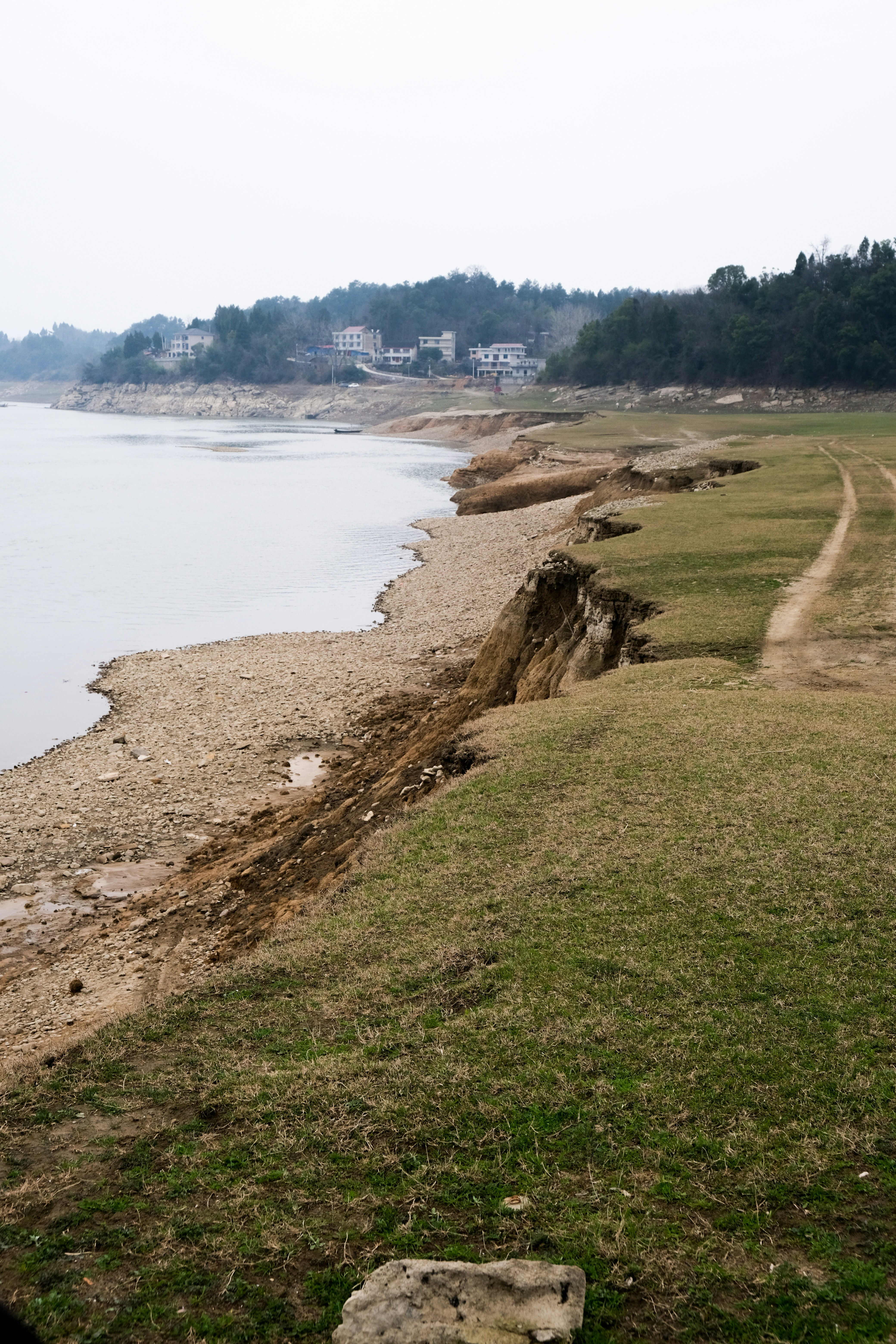 Littoral Faultline: Grass, Cliff, and Distant Houses