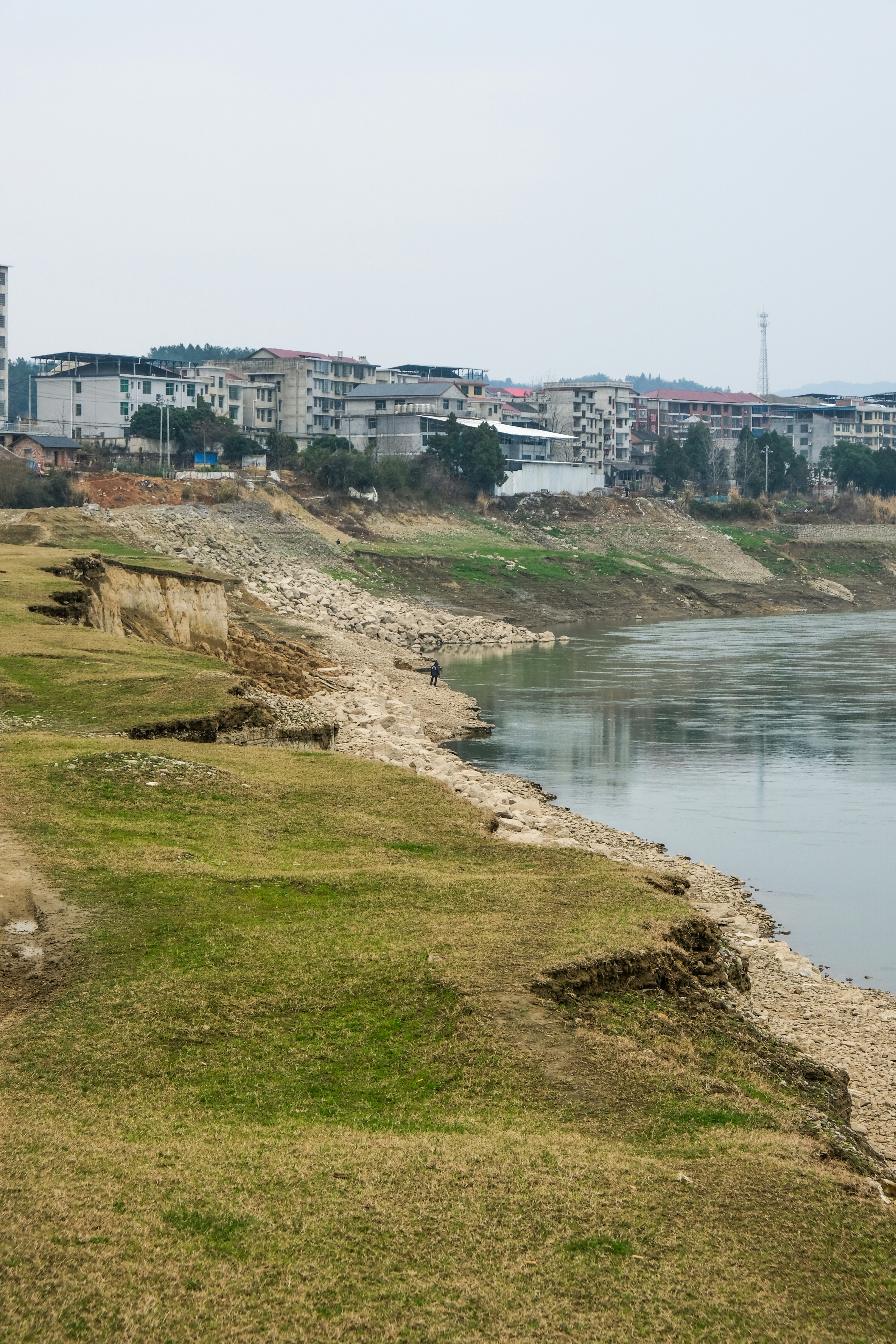 Riverside Edge: Urban Convergence Along a Quiet Shore