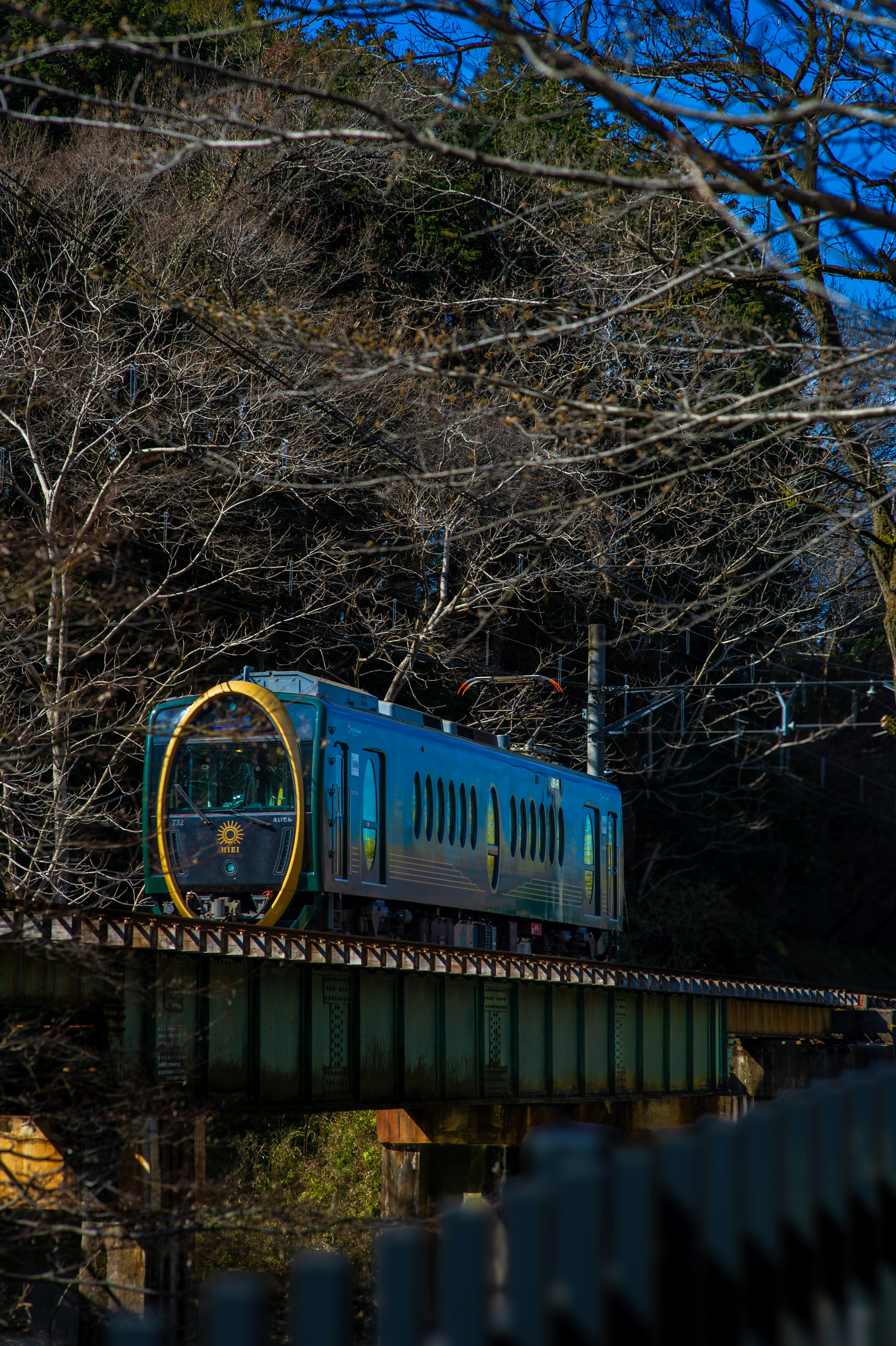 Electric Blue on Steel: A Modern Train Traverses a Leafless Forest