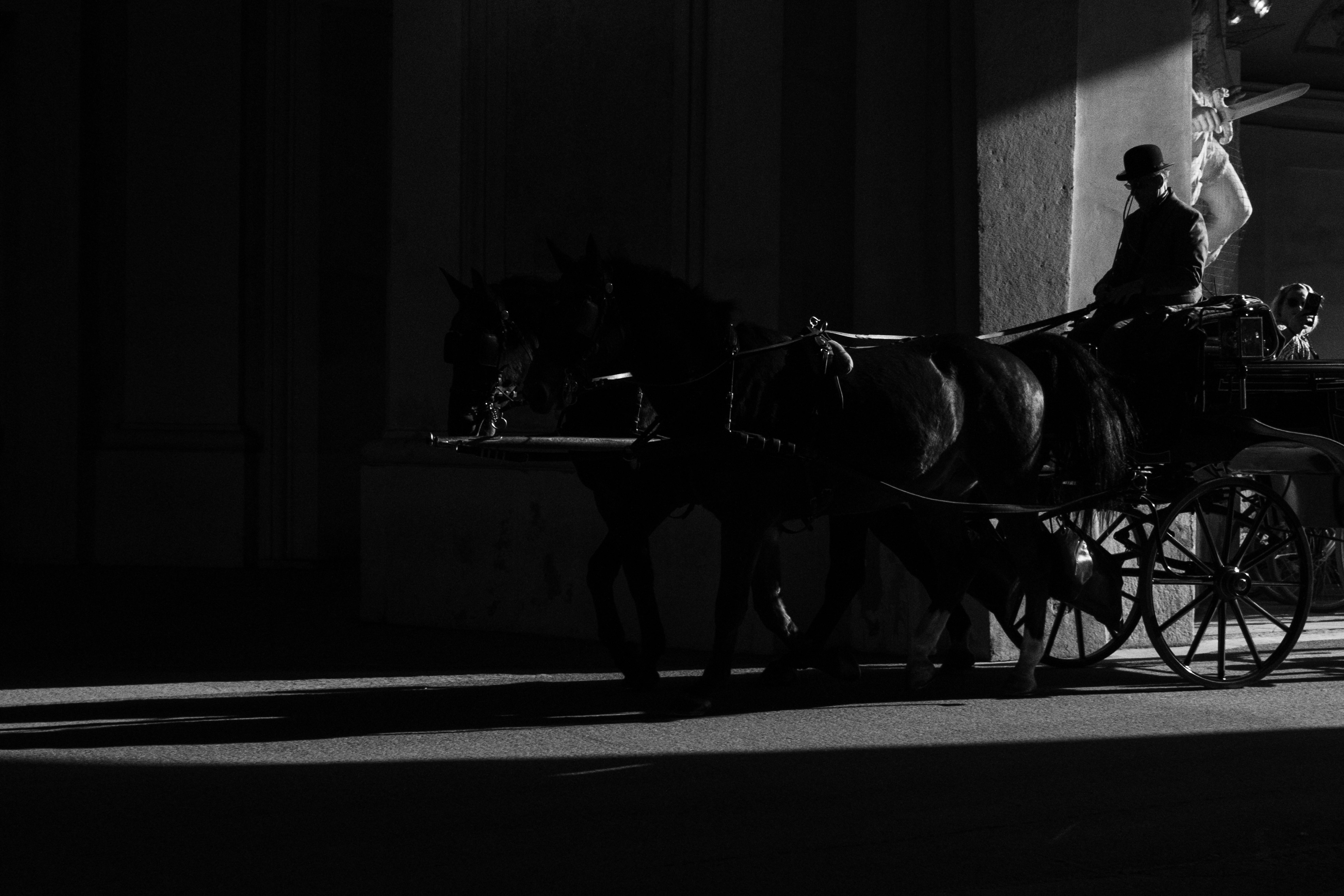 Moonlit Carriage through a Silent Archway