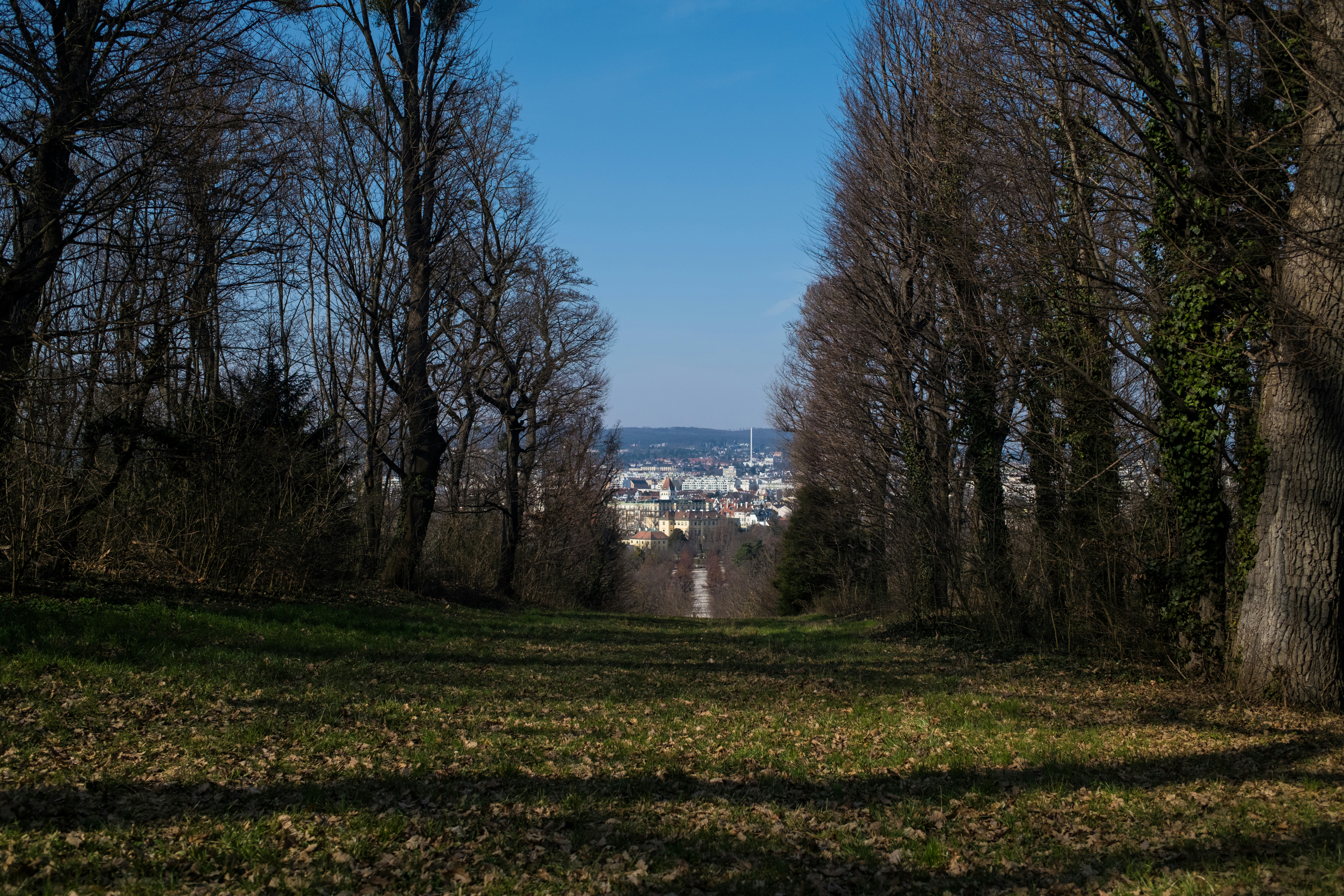 Pathway to the City: A Tree-Frame Perspective toward the Town