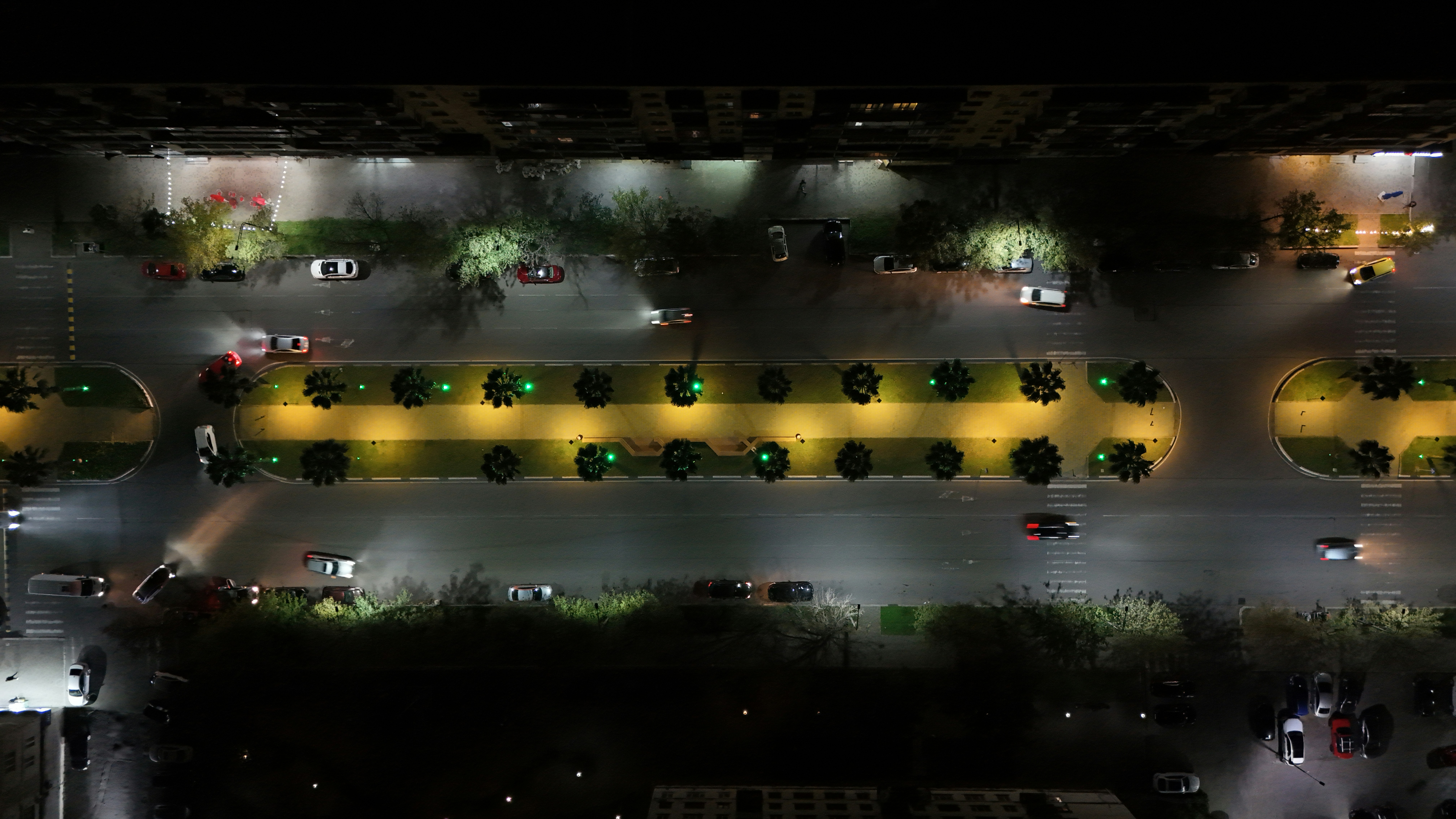 Neon Orchard Boulevard: A Night Aerial Over a Tree-Lined Avenue